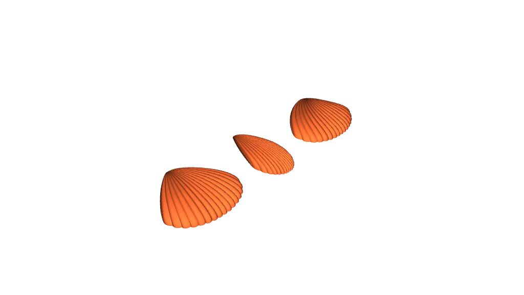 Sea Shells by Pedro Eira | Download free STL model | Printables.com