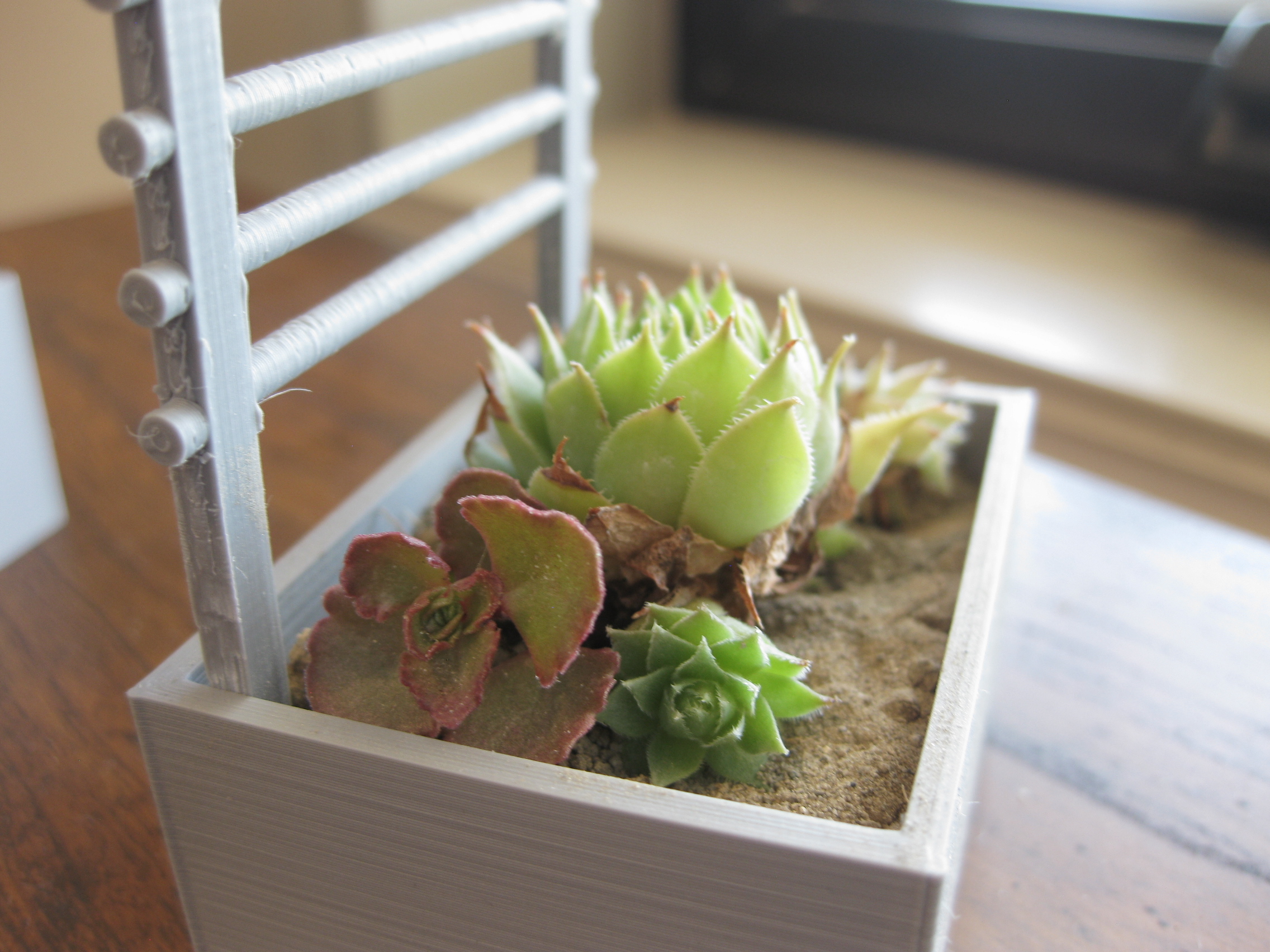 Mini Garden Gate Planter/ Vine Ladder by wimillie | Download free STL ...