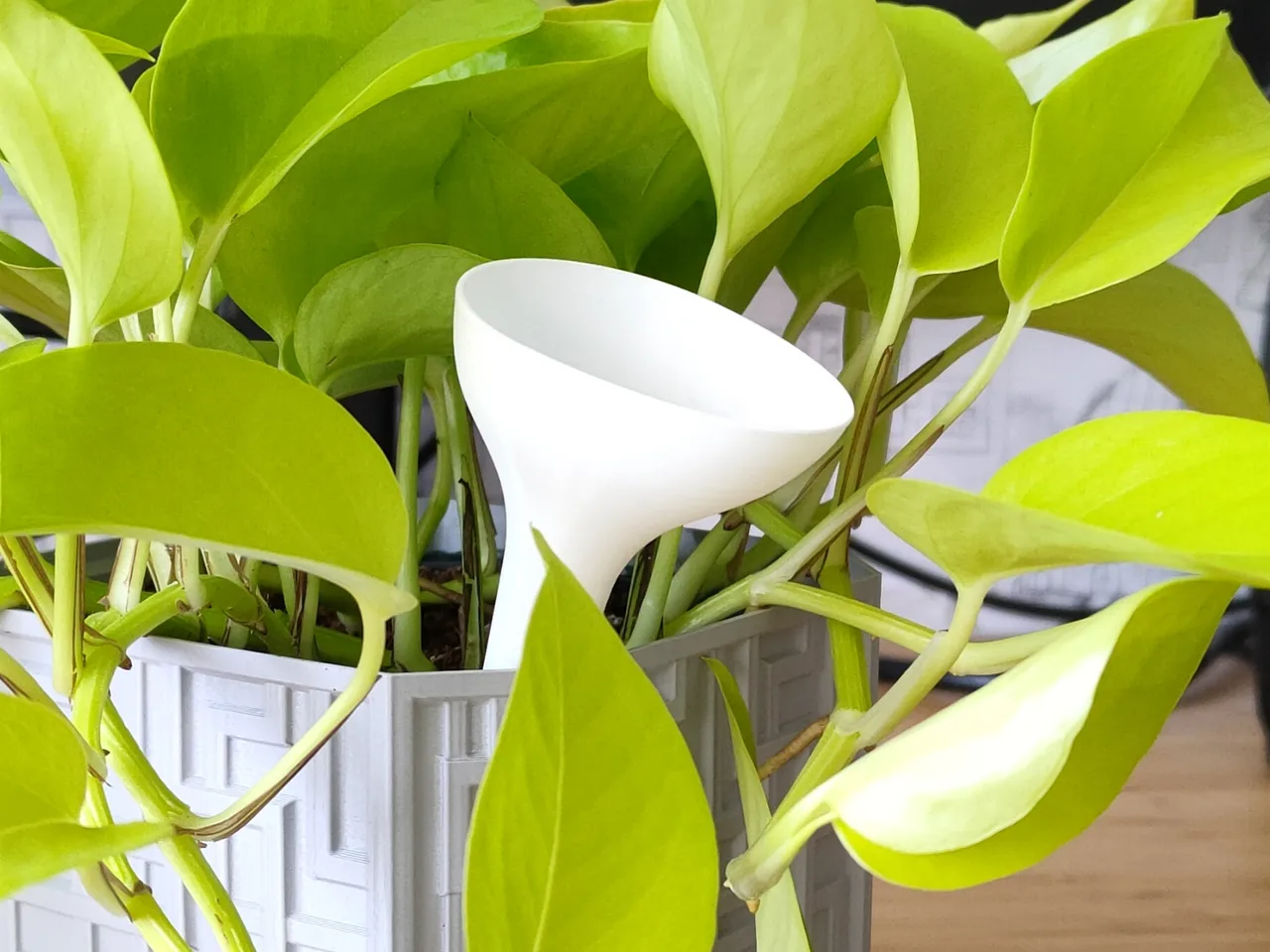 Watering bit - for house plants and flowers - vase mode by SASSy Design ...