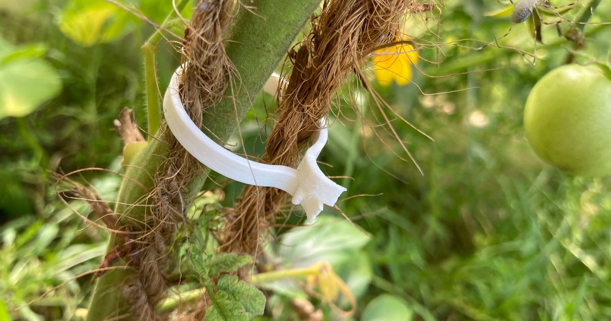 Tomato Clip 3.0. (30mm) by Leo | Download free STL model | Printables.com