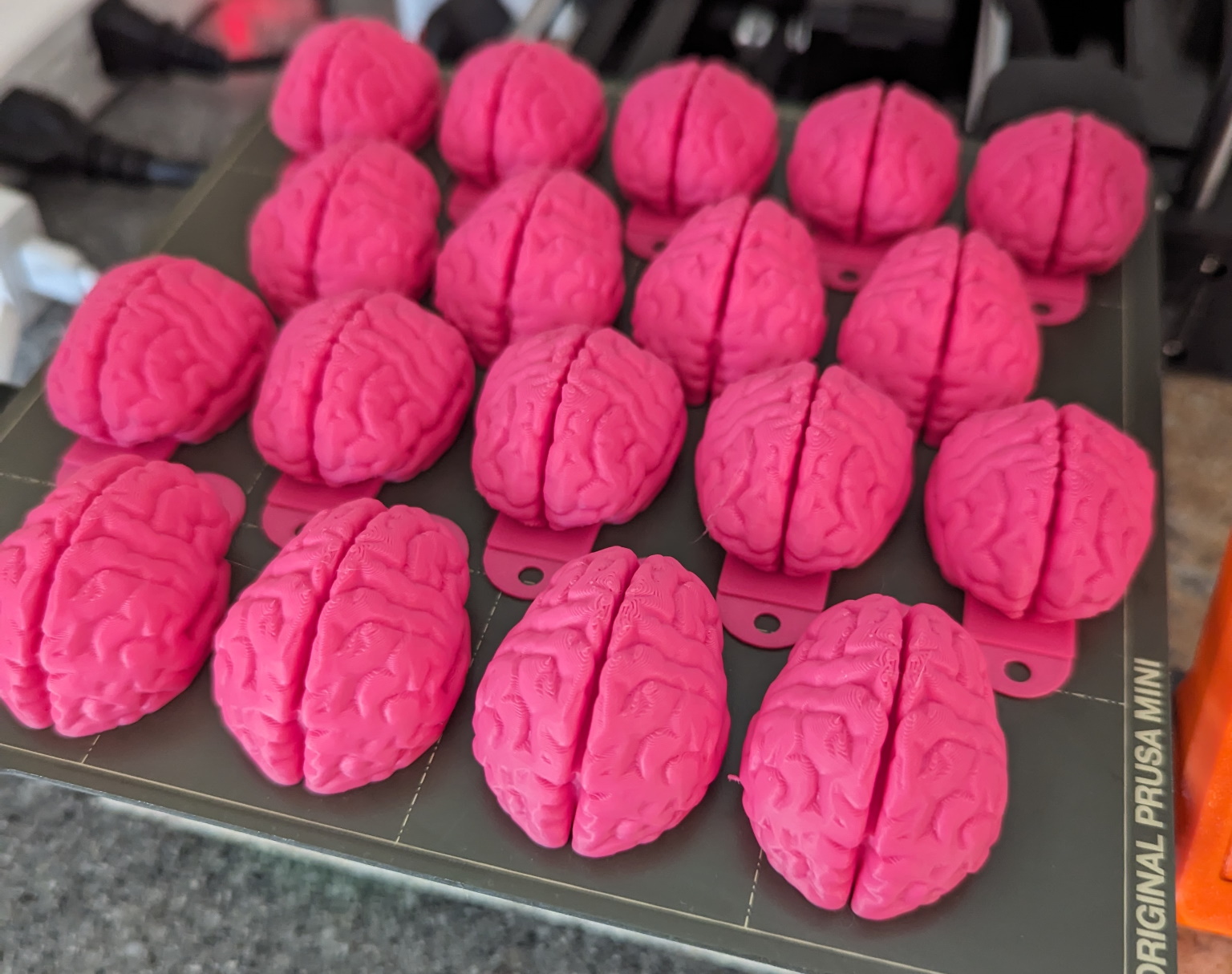 Brain Keychain by Oak | Download free STL model | Printables.com