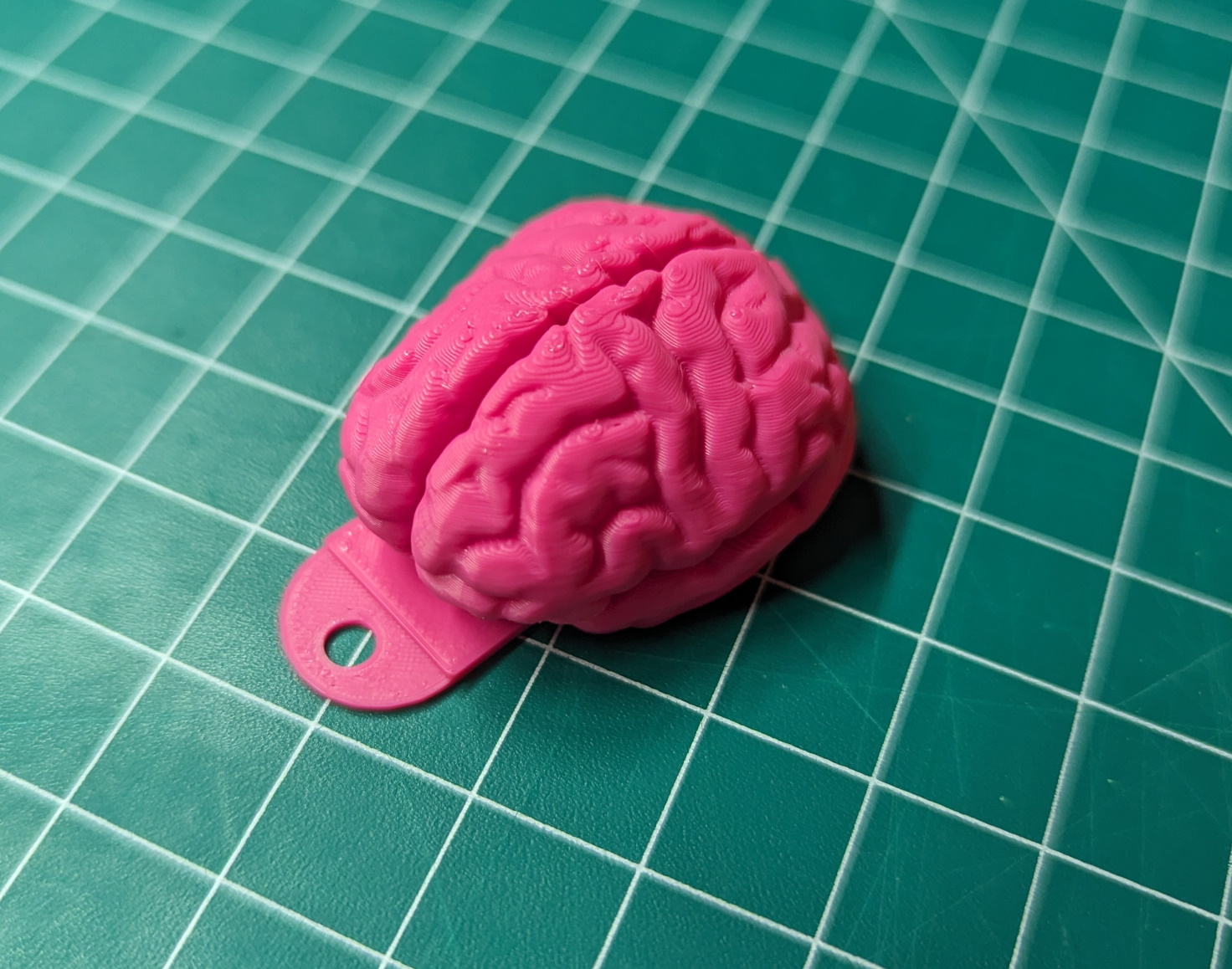 Brain Keychain by Oak | Download free STL model | Printables.com