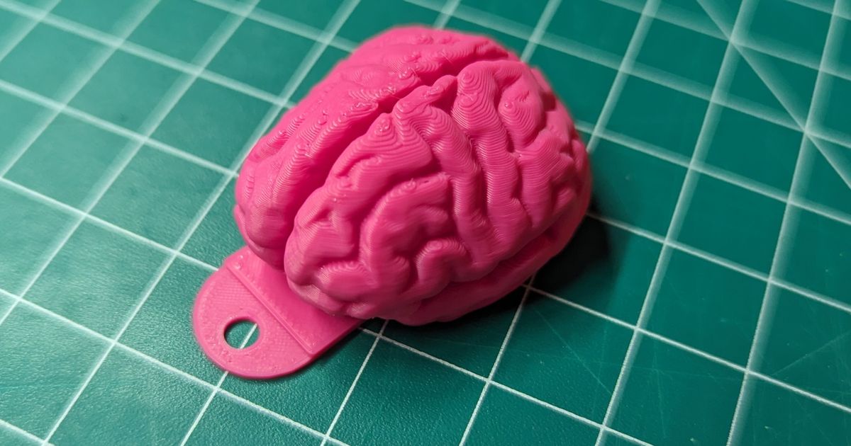 Brain Keychain by Oak | Download free STL model | Printables.com