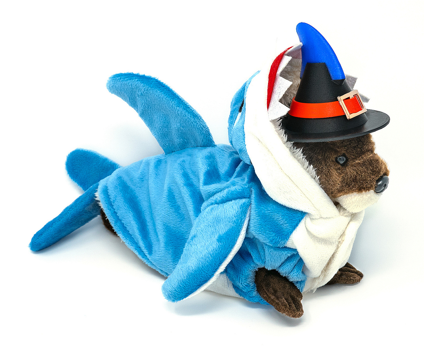 Thanksgiving Weasel Shark Hat by lendres | Download free STL model ...