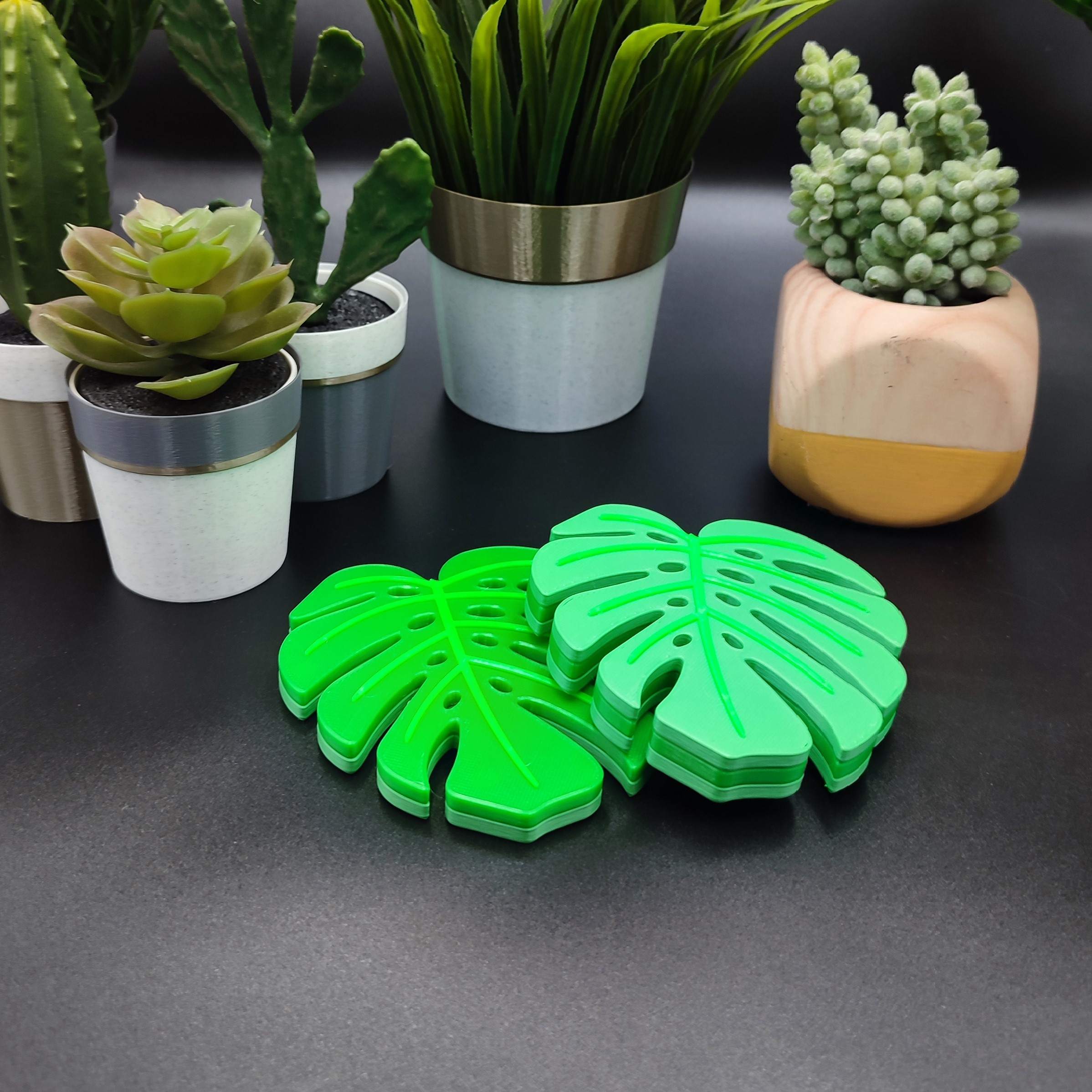 Magnetic Monstera Coaster Set by Bamingo Design | Download free STL ...
