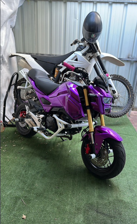 honda msx cage edge by avivm | Download free STL model | Printables.com