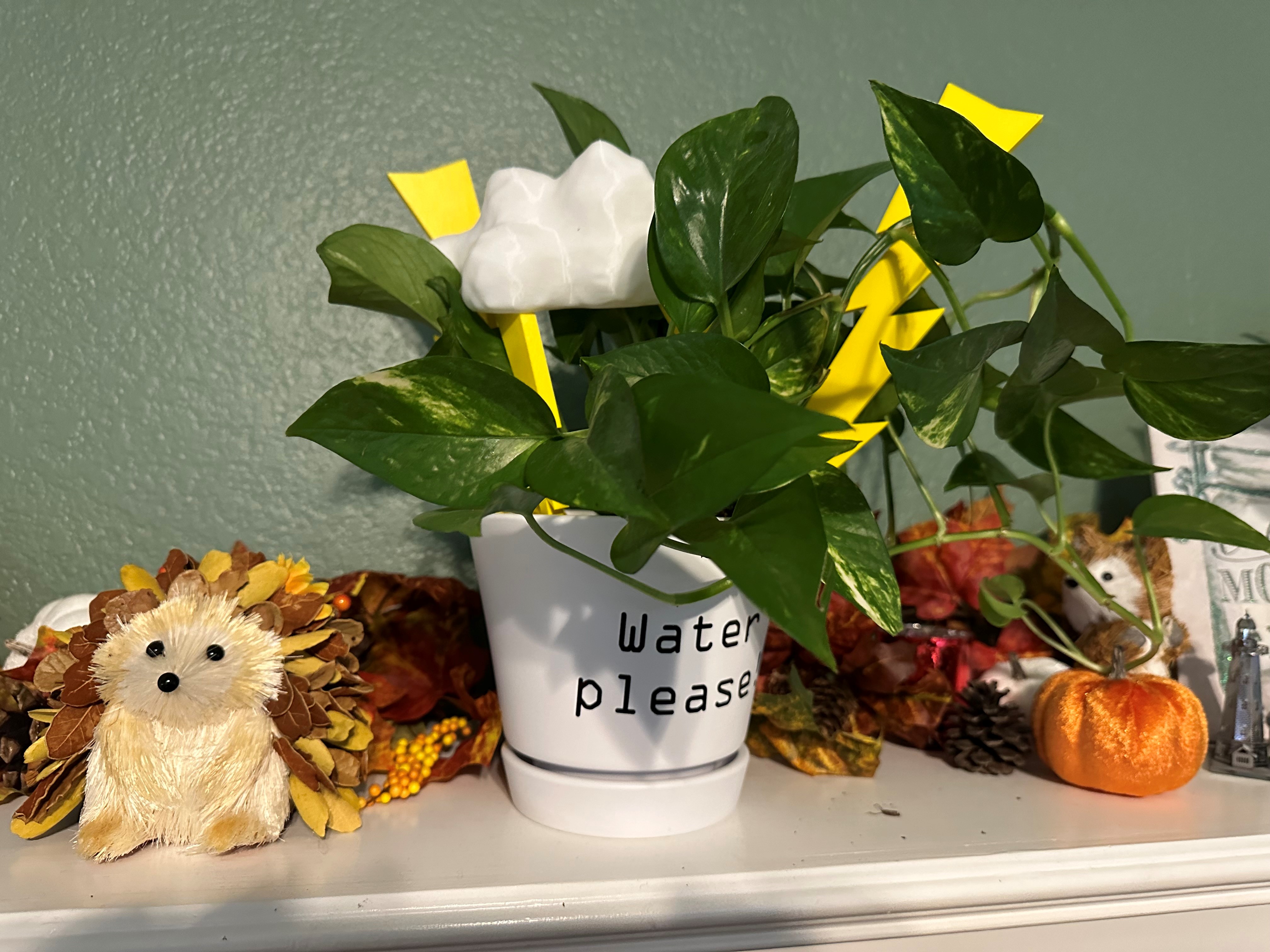 Cloud and Lightning Plant Supports and Waterer by Baughb | Download ...