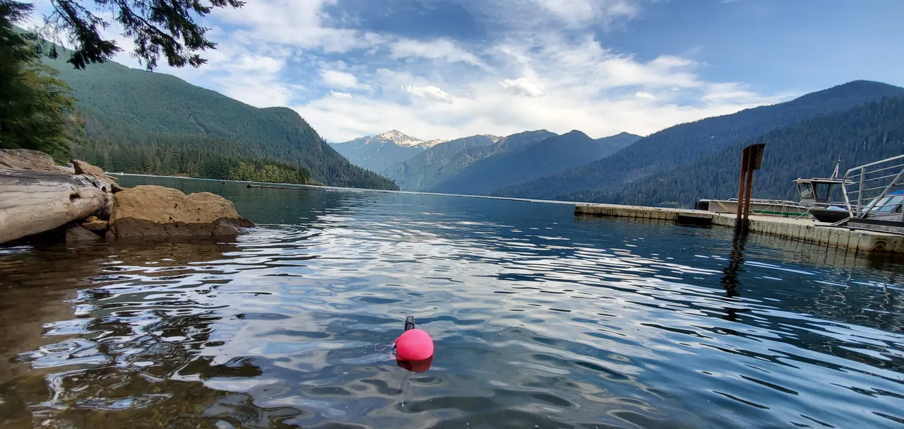 Float Buoy by Francis | Download free STL model | Printables.com