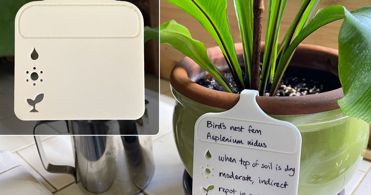 Houseplant write-on care tag by Stephanie Cervi Design | Download free ...