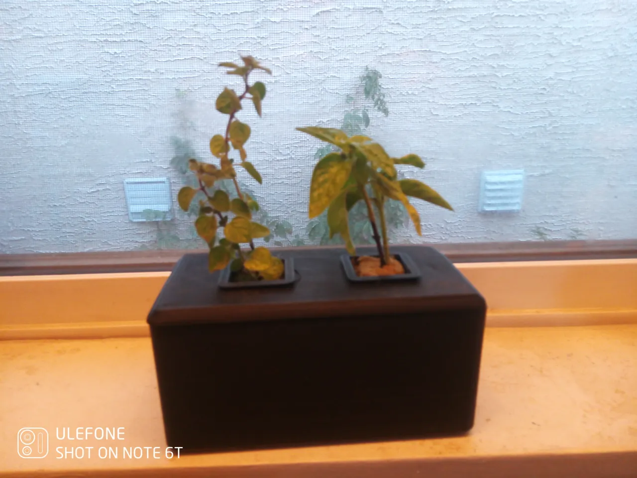 Window Hydroponic Planter by pmprusty | Download free STL model ...