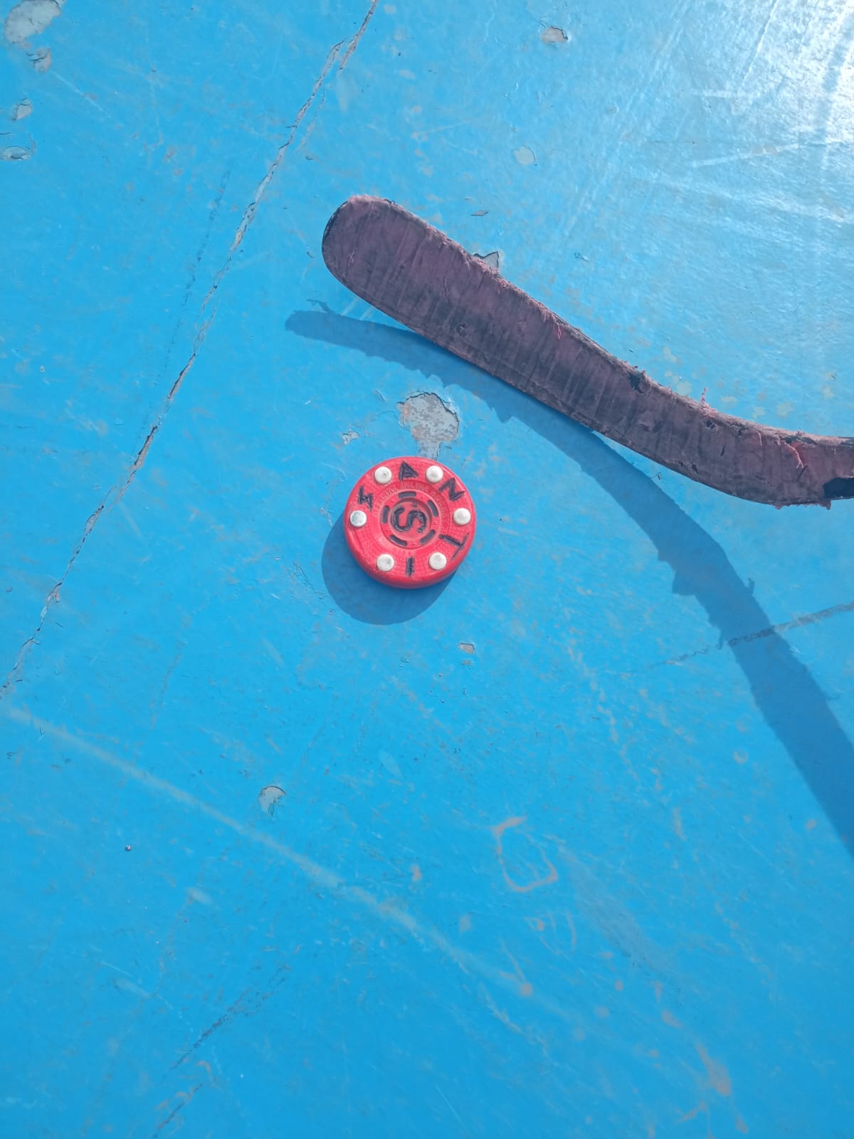 Puck Sliders by llanterner | Download free STL model | Printables.com
