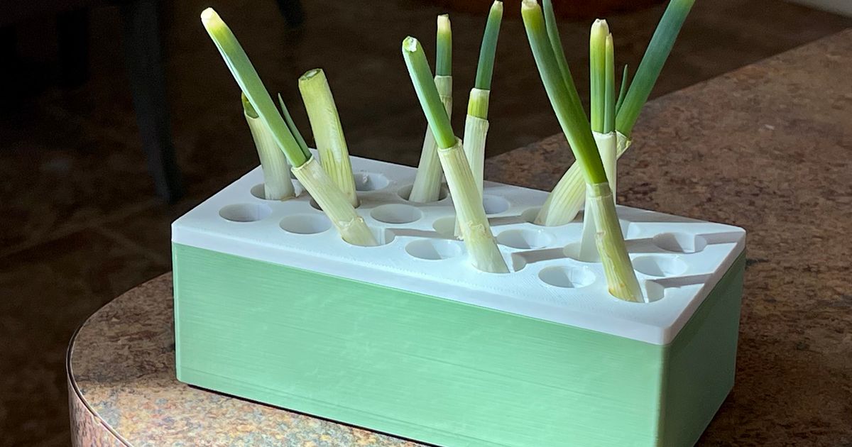 Onion sprouting box by BluecornNM | Download free STL model ...