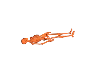 Skeleton by Peter Farell | Download free STL model | Printables.com