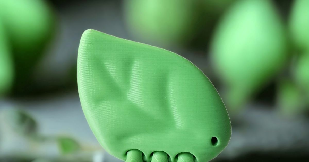 LeafBug: Nature's Pocket Buddy by jajaum3d | Printables Store