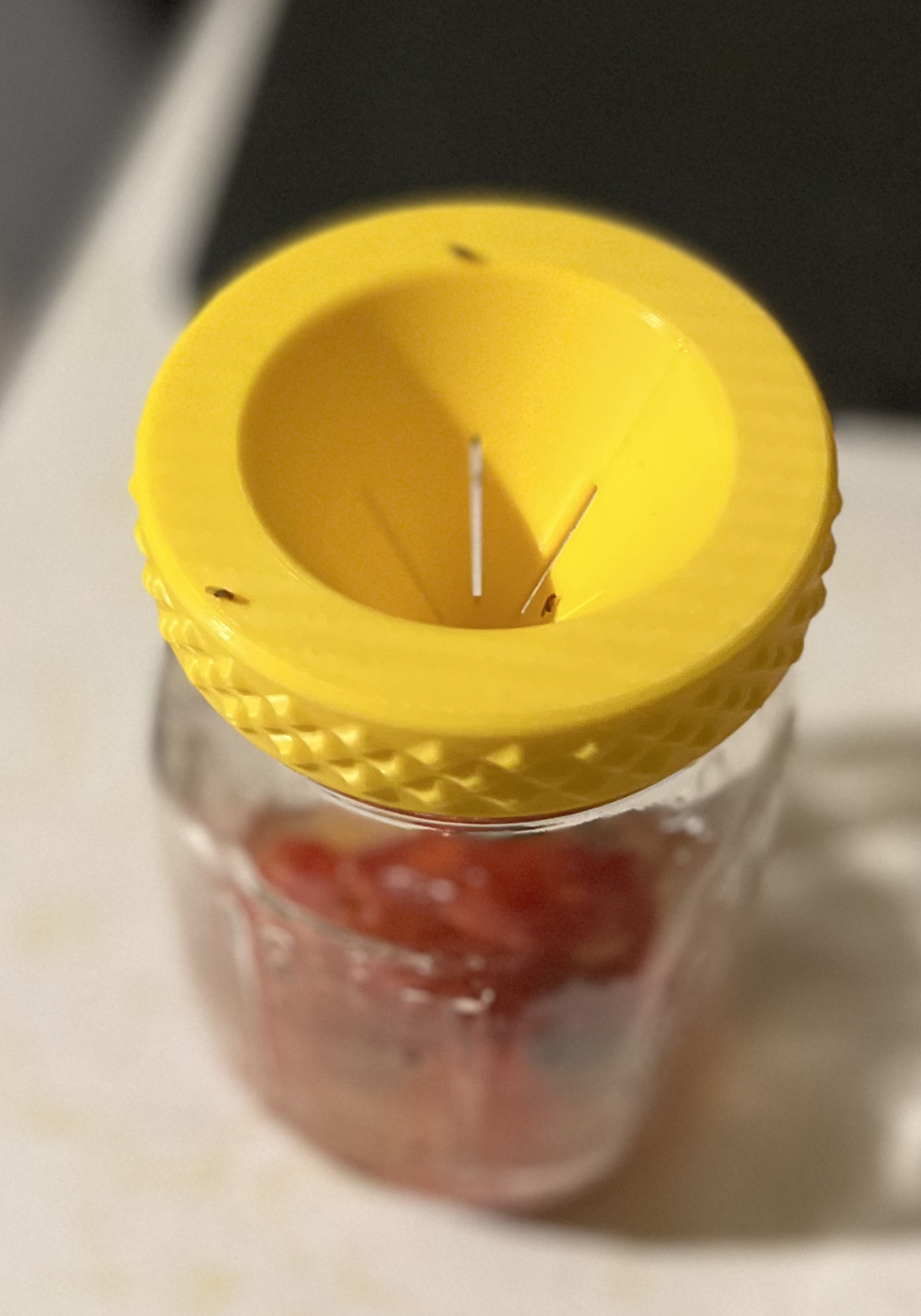 Better Fruit Fly Trap for Mason Jars by NUKDDD | Download free STL ...