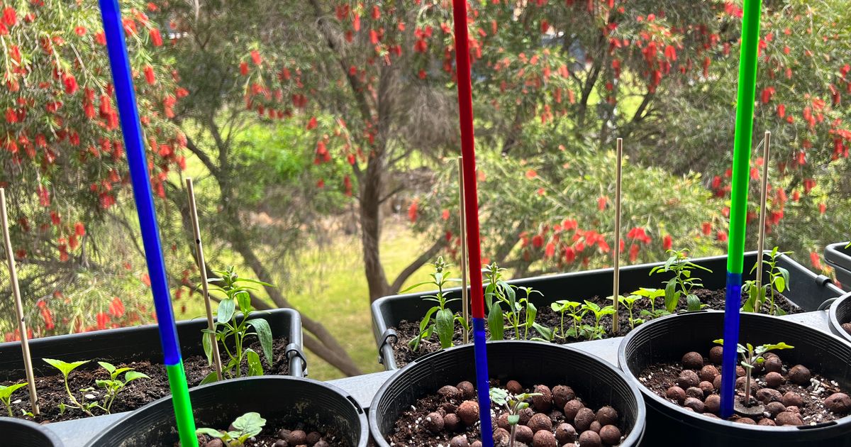 Simple Pot Plant Stakes by muddymaker | Download free STL model ...