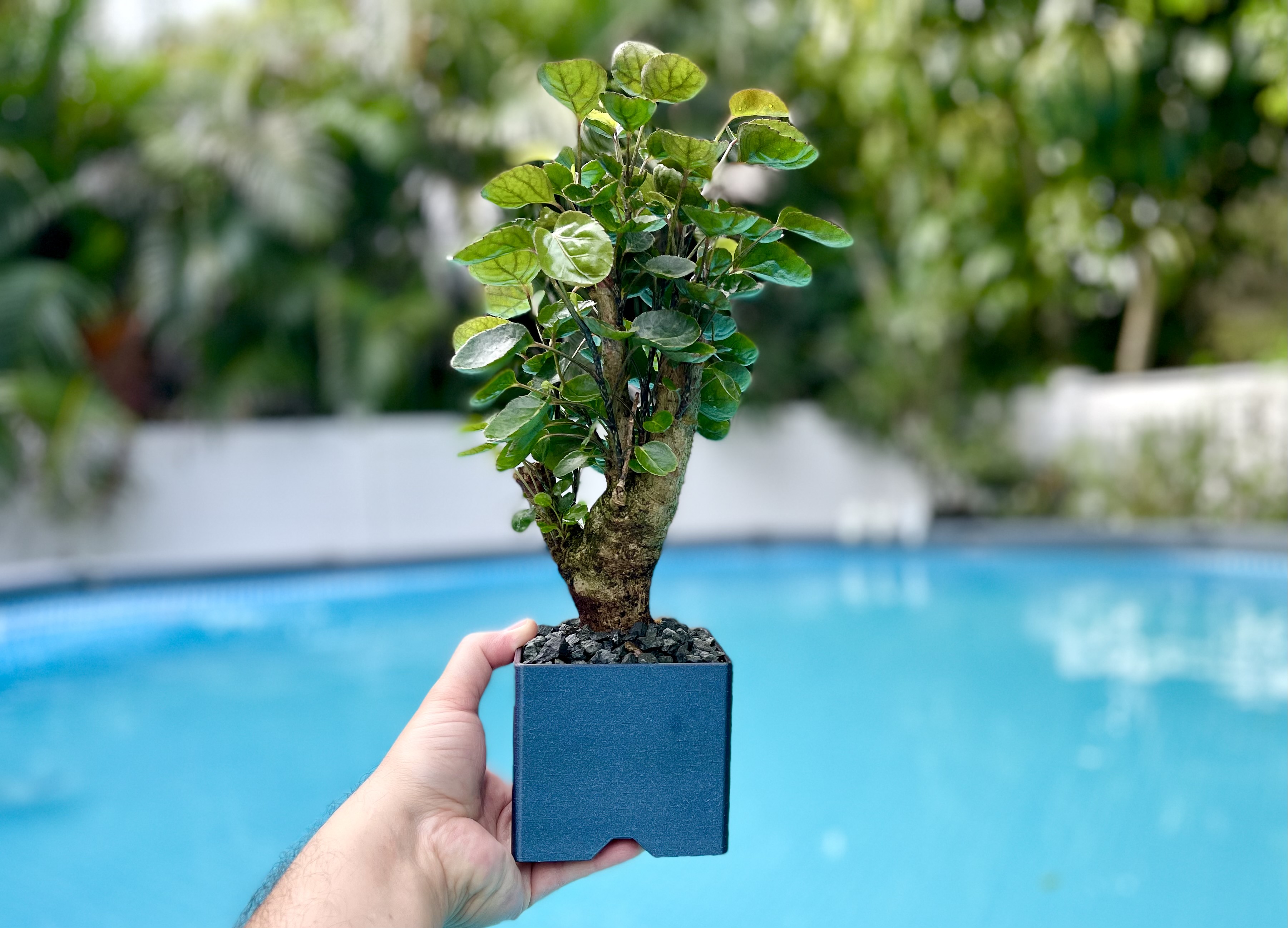 3D Printed Bonsai Pot 10x10x8 cm with Guiding Wires by Jose R ...