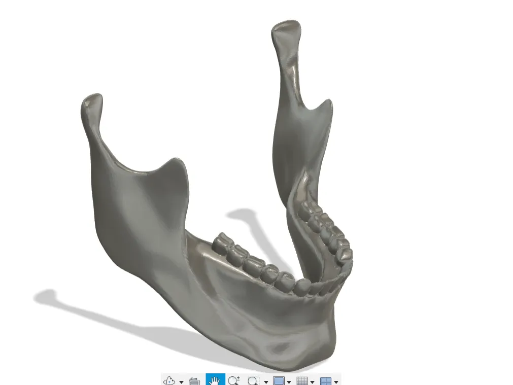 mandible anatomic-jaw by H- printed | Download free STL model ...