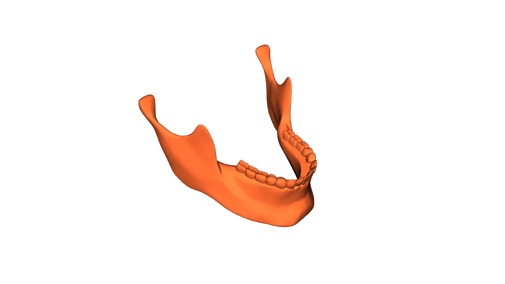 mandible anatomic-jaw by H- printed | Download free STL model ...