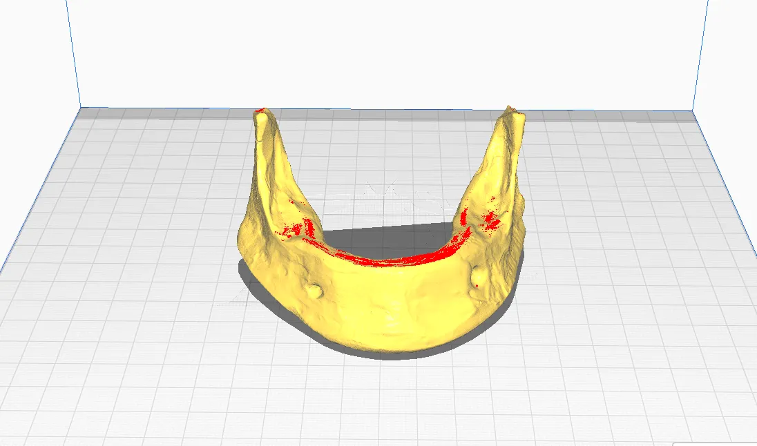 training mandible without teeth of lower jaw by H- printed | Download ...