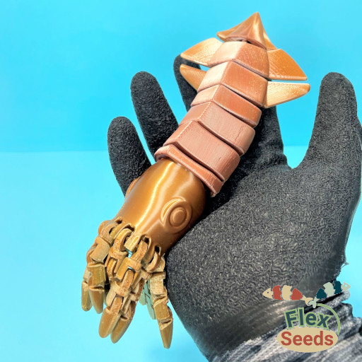 Flexi Squid, and Ammonite (print-in-place) by 3D_Flexseeds | Download ...