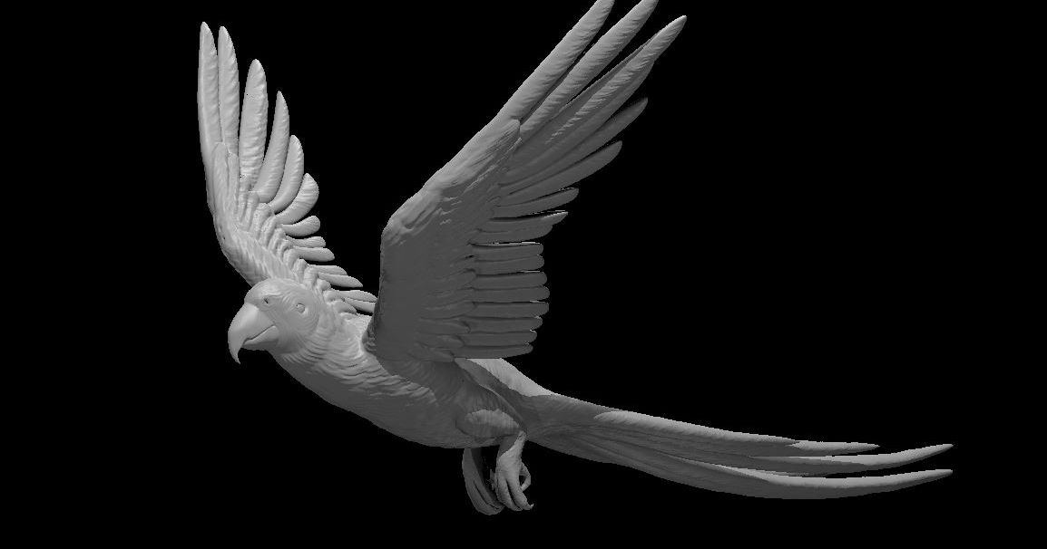 Parrot Familiar by MZ4250 | Download free STL model | Printables.com