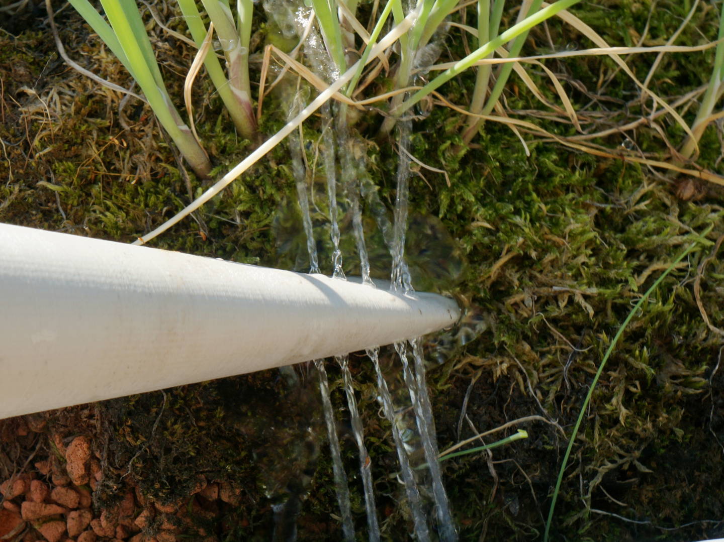 PET-Bottle Irrigation Spike by Jack | Download free STL model ...