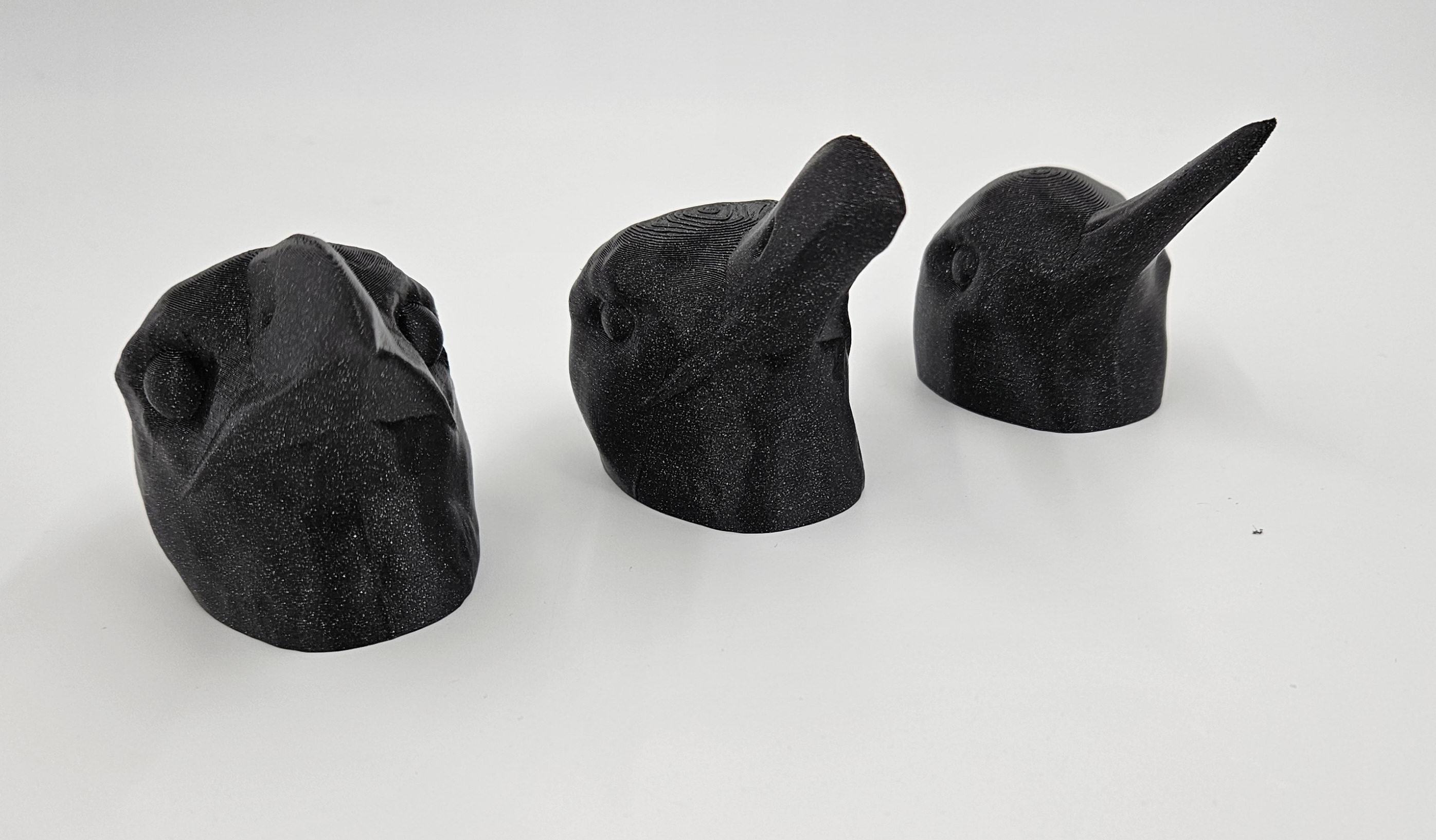 Collection of beaks of birds for education for VI by Visio 3D Team ...