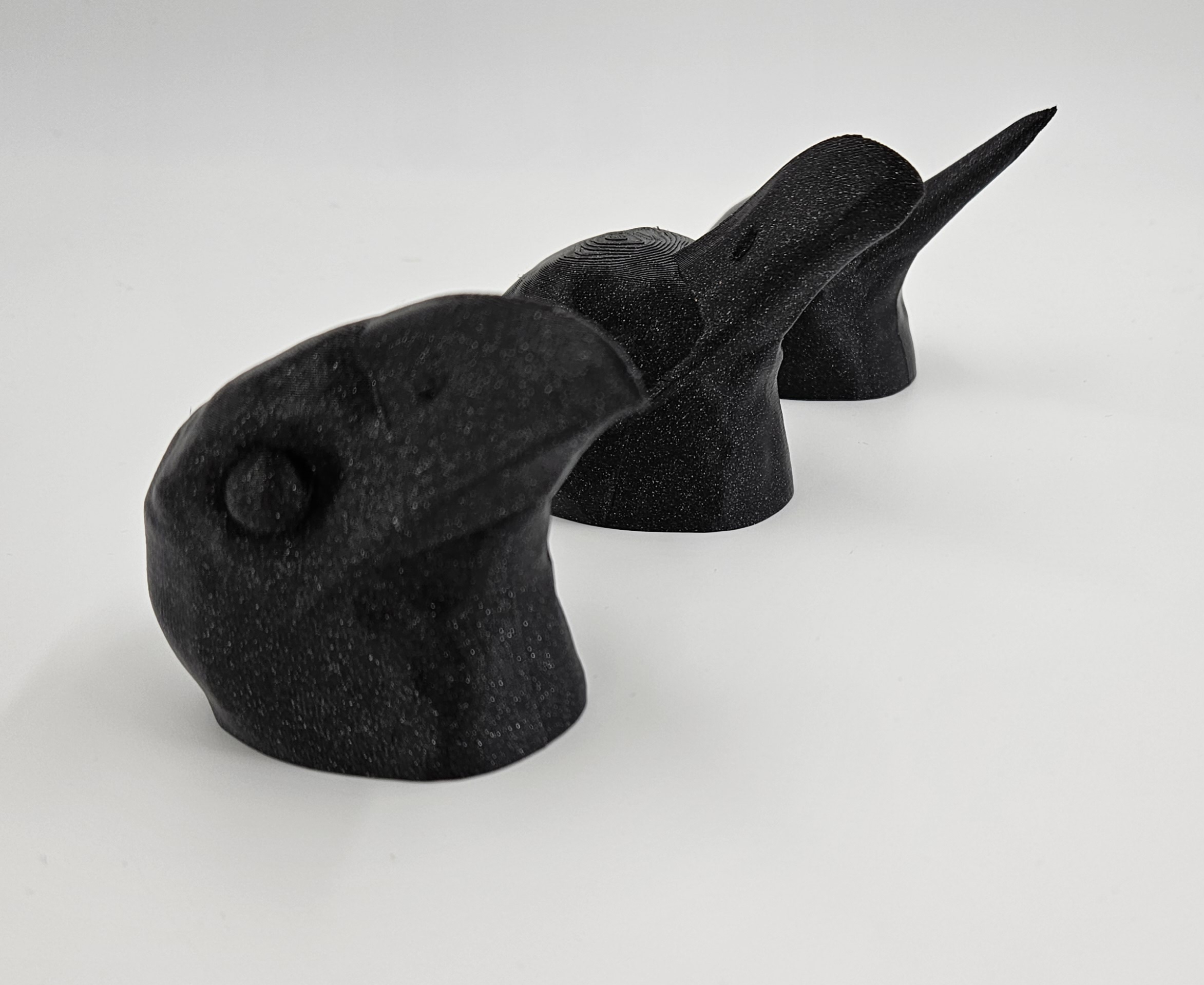 Collection of beaks of birds for education for VI by Visio 3D Team ...