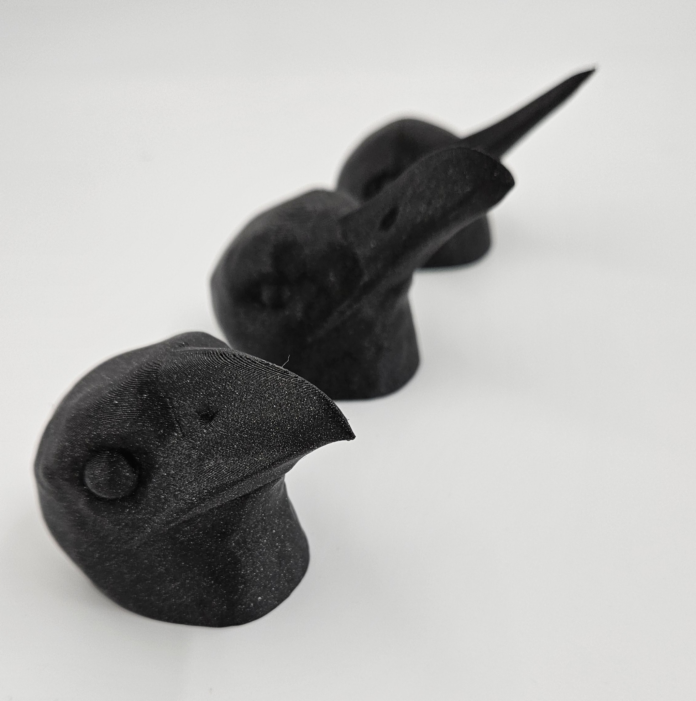 Collection of beaks of birds for education for VI by Visio 3D Team ...