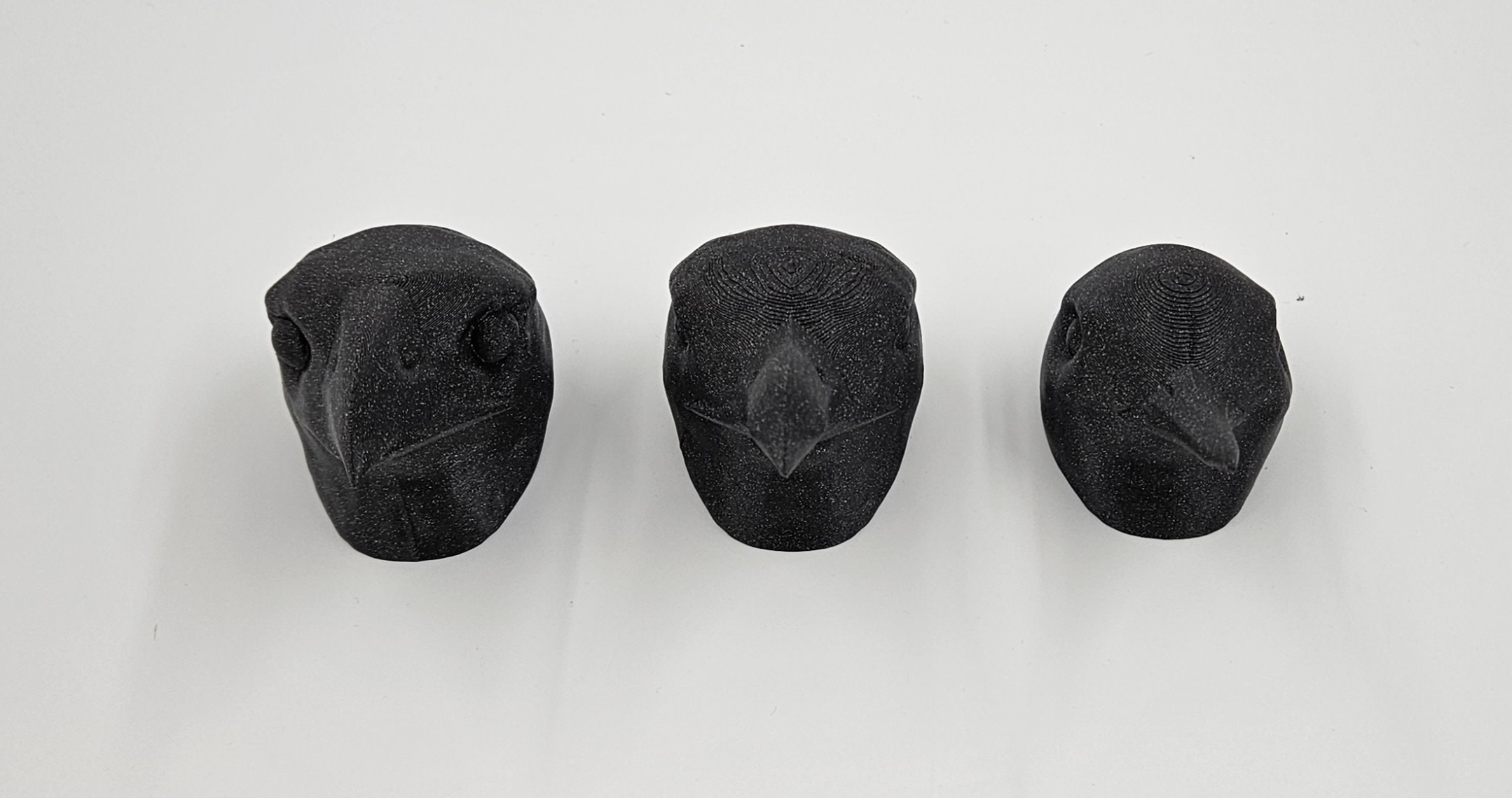 Collection of beaks of birds for education for VI by Visio 3D Team ...