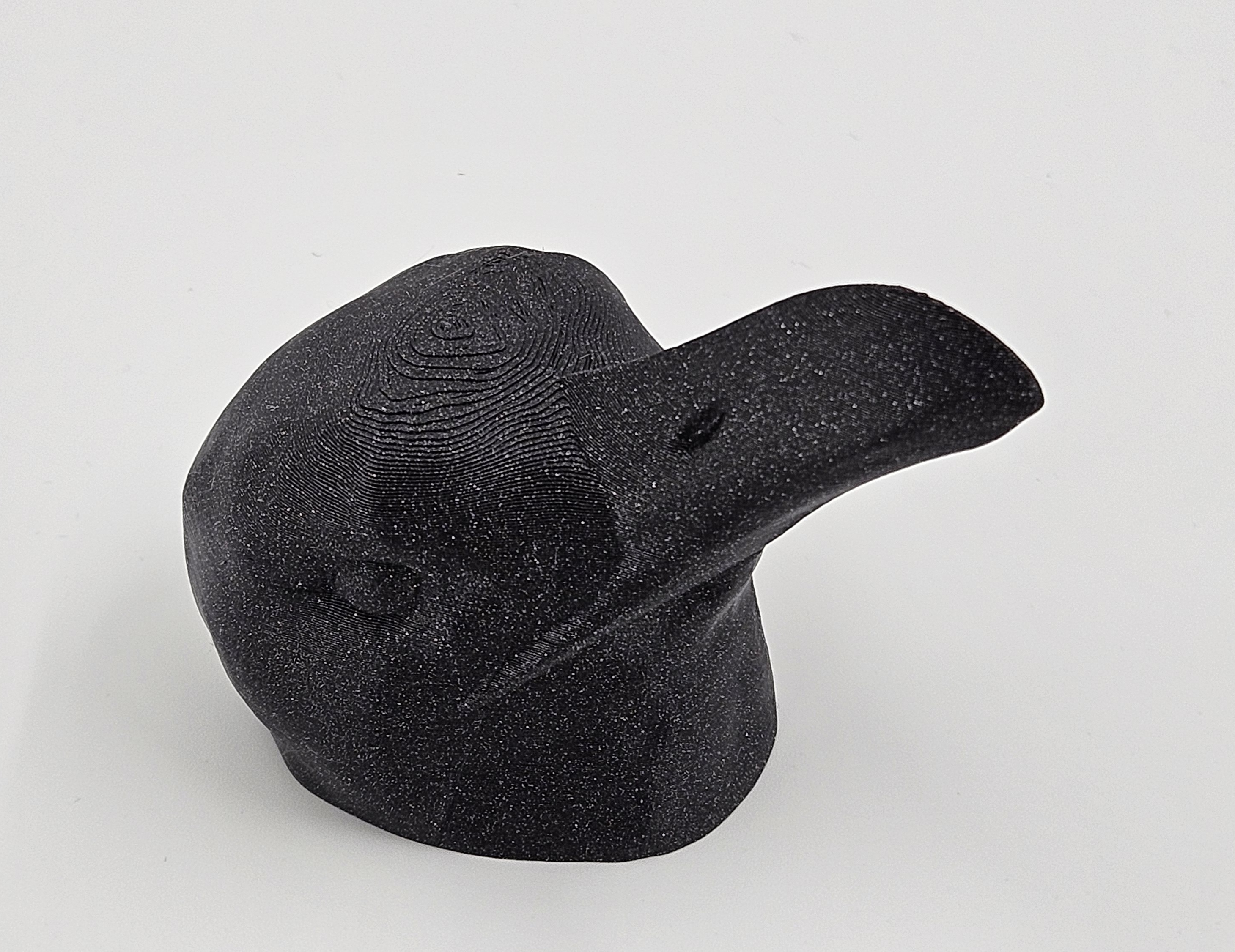 Collection of beaks of birds for education for VI by Visio 3D Team ...