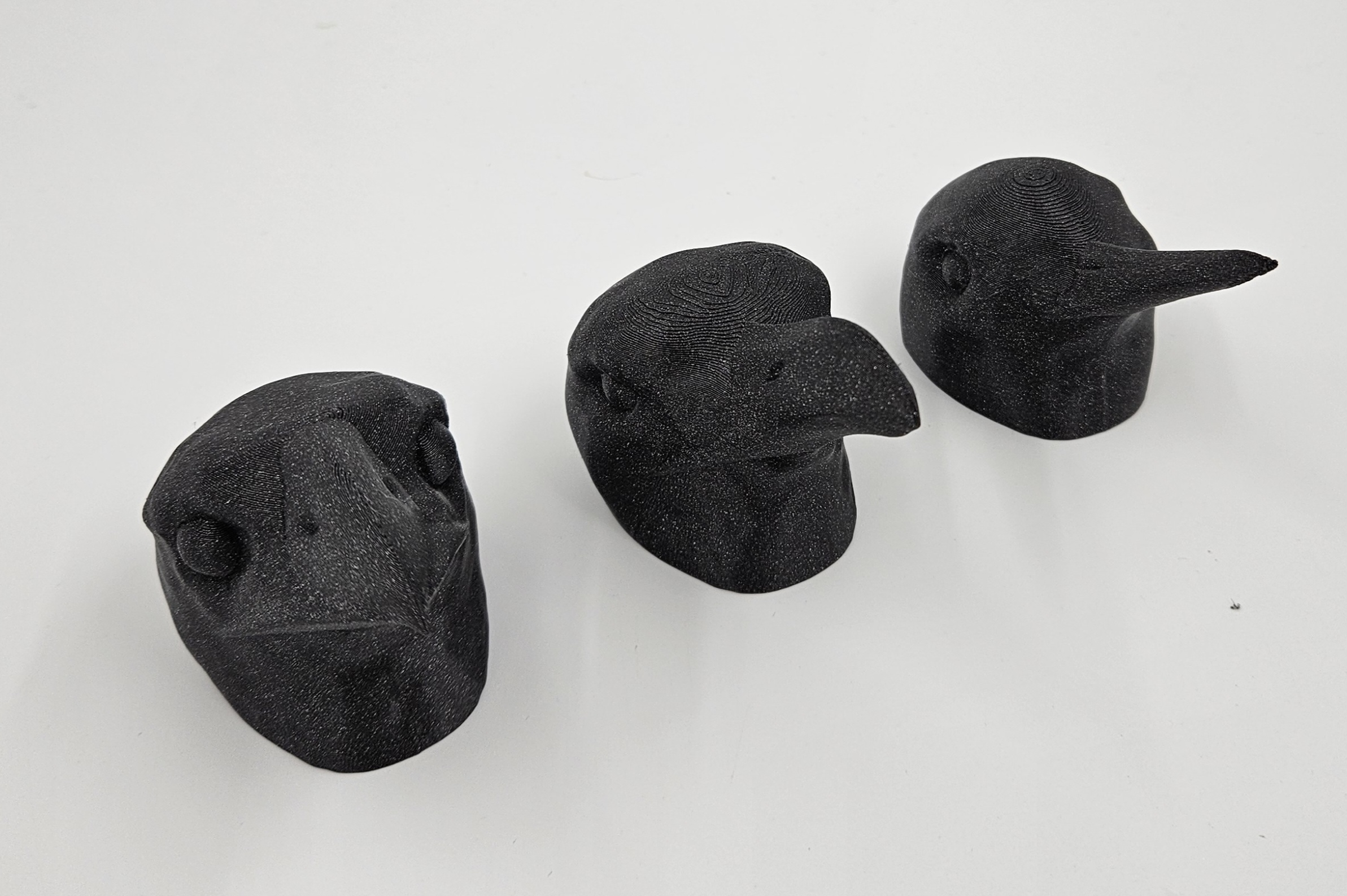 Collection of beaks of birds for education for VI by Visio 3D Team ...