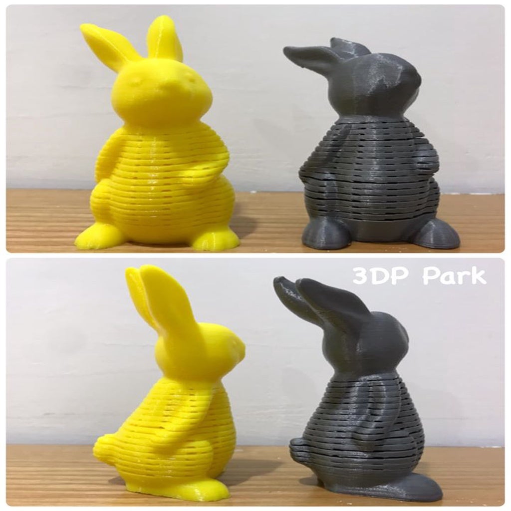 Springy Rabbit (2) by 3DP_Park | Download free STL model | Printables.com