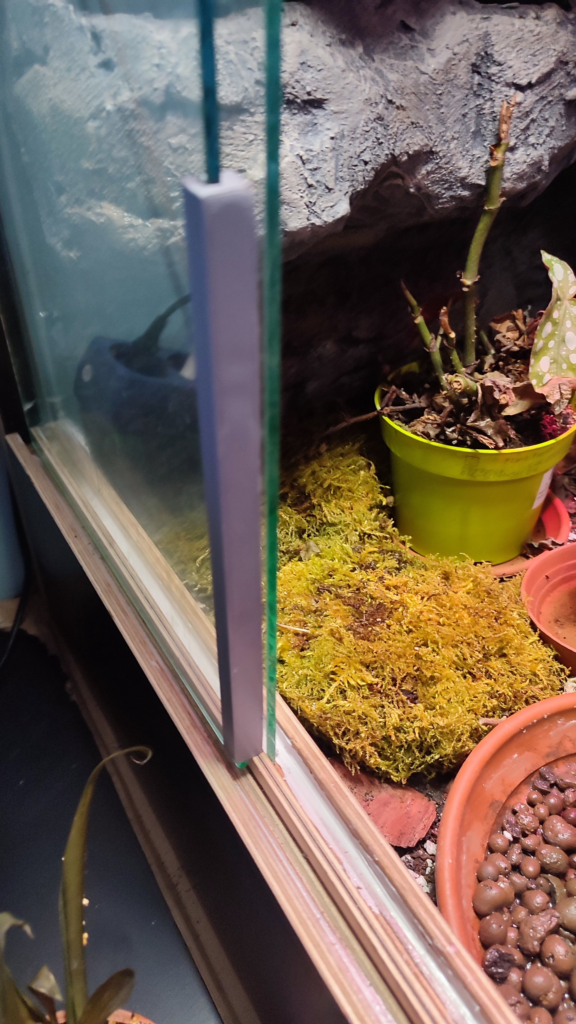 Terrarium glass spacer by Coverex | Download free STL model ...