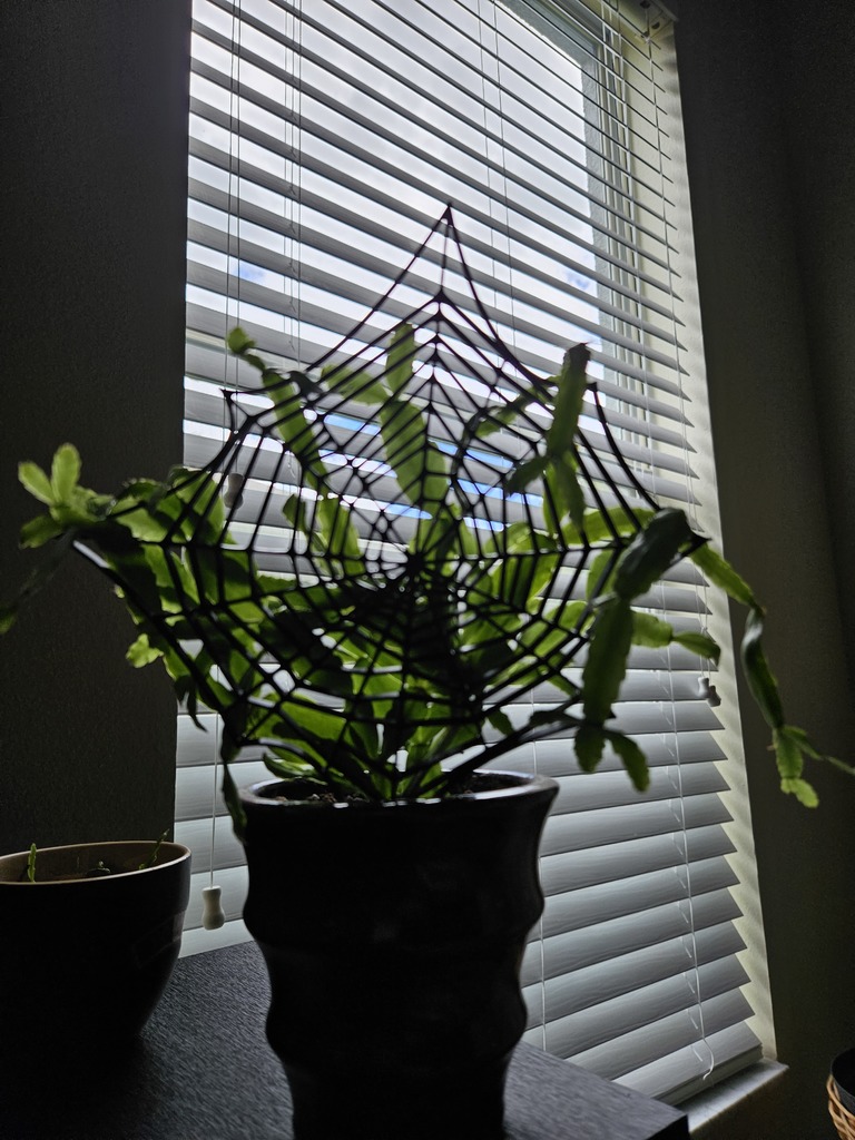 Simple Spider Web Trellis by UCNBB | Download free STL model ...