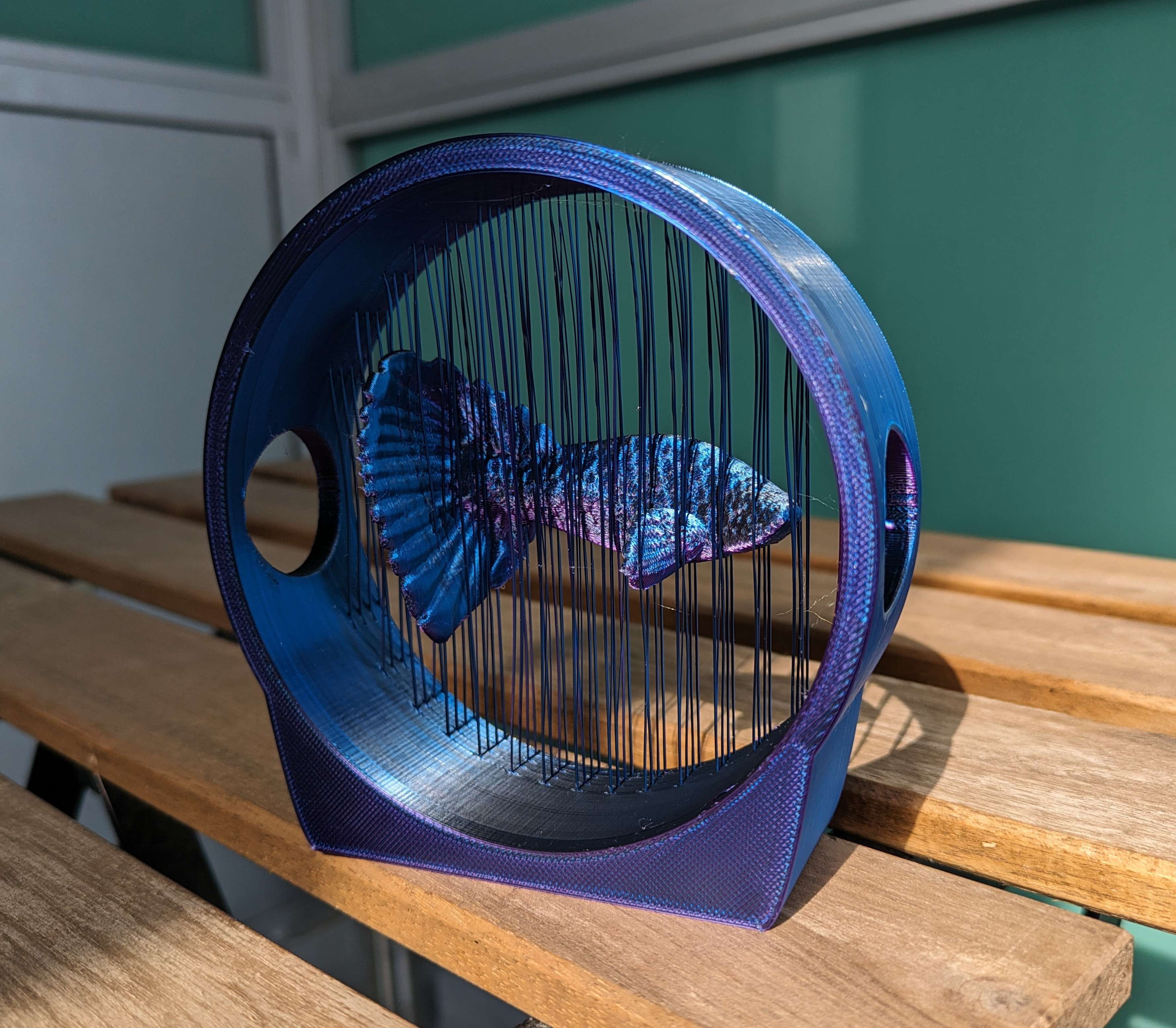Suspended Betta fish by Vec4 | Download free STL model | Printables.com