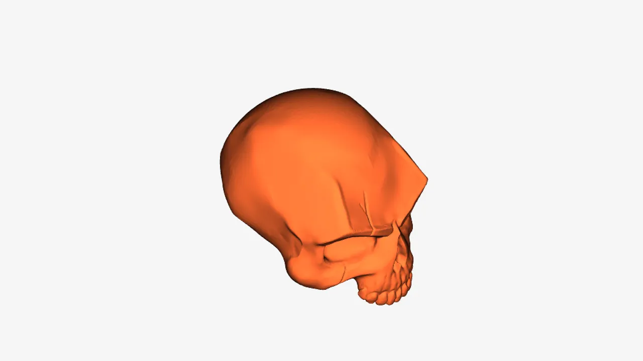 SKULL - SCAR by Bugman_140 | Download free STL model | Printables.com