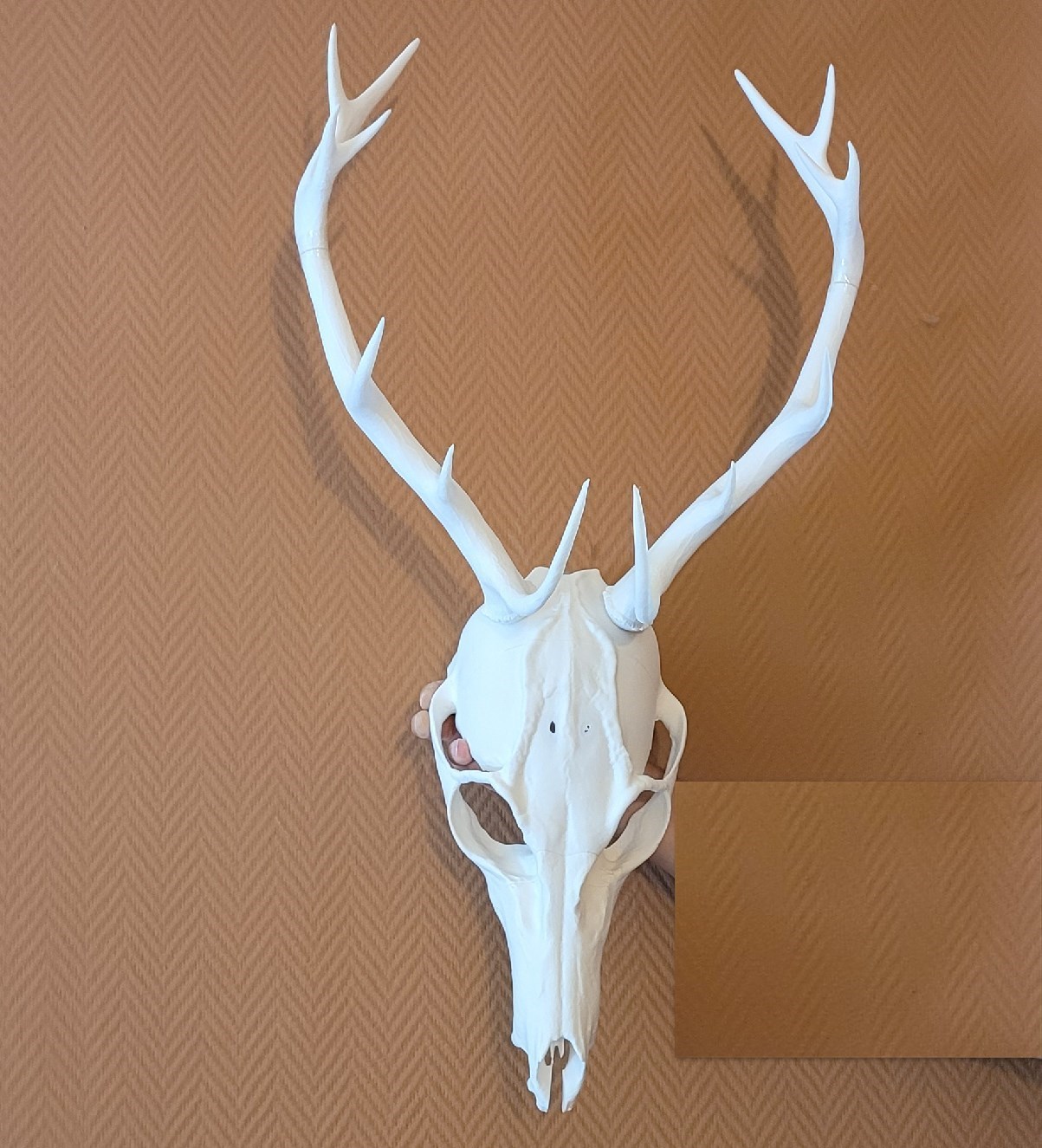 Wendigo Skull with dowel connectors von schtiewie | Kostenloses STL ...