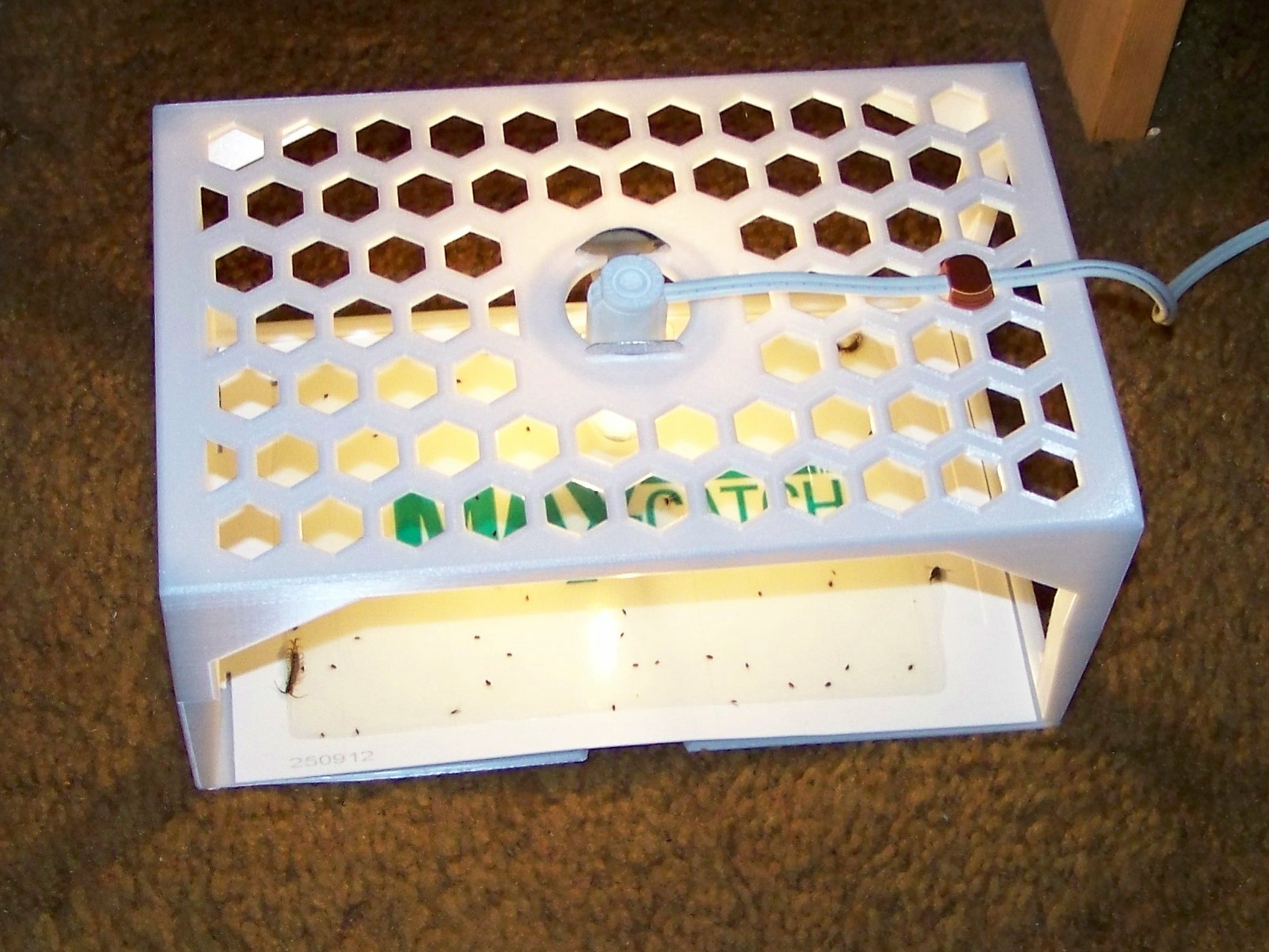 Flea Trap or other bugs by JEO | Download free STL model | Printables.com