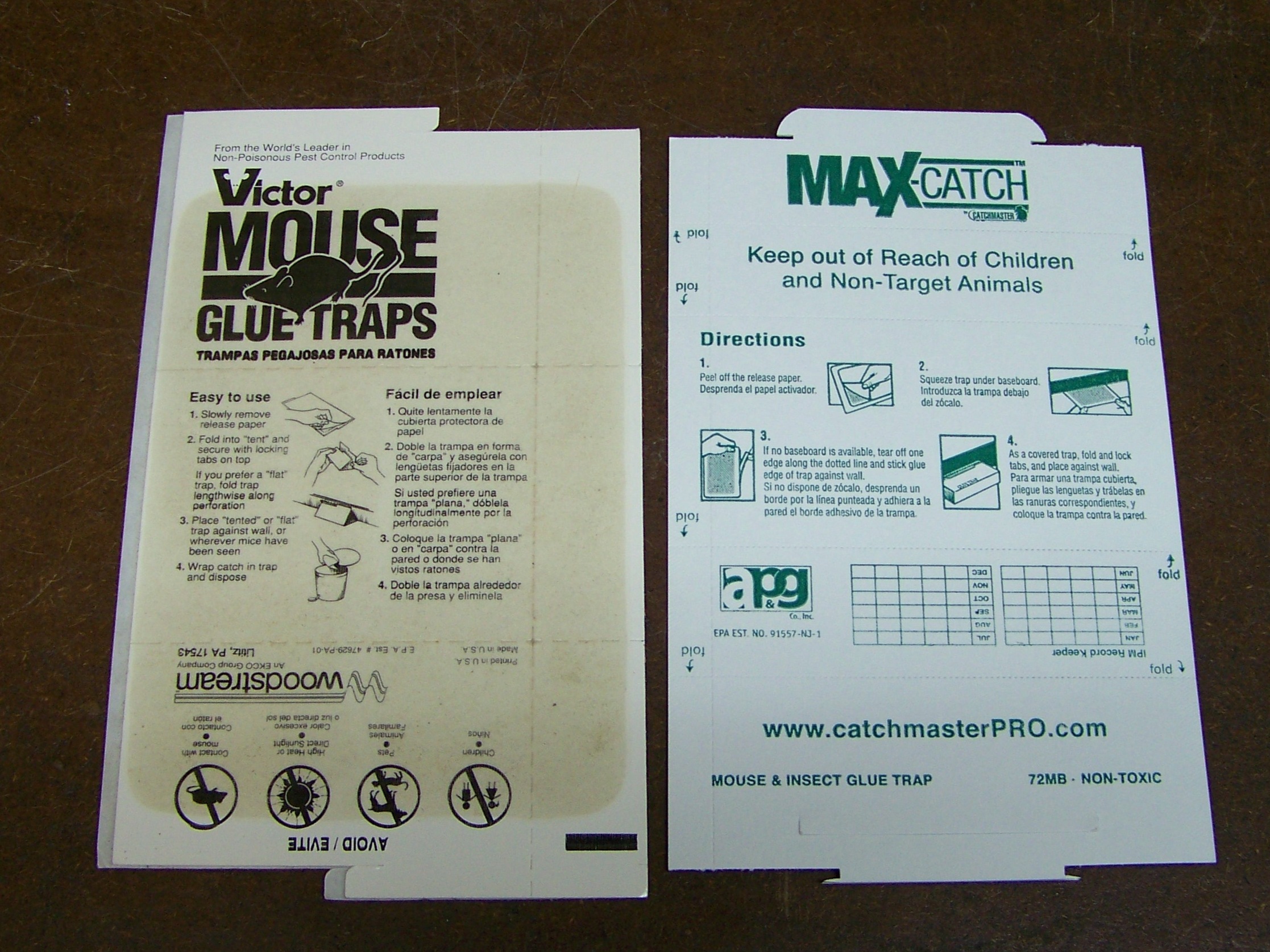 Flea Trap or other bugs by JEO | Download free STL model | Printables.com