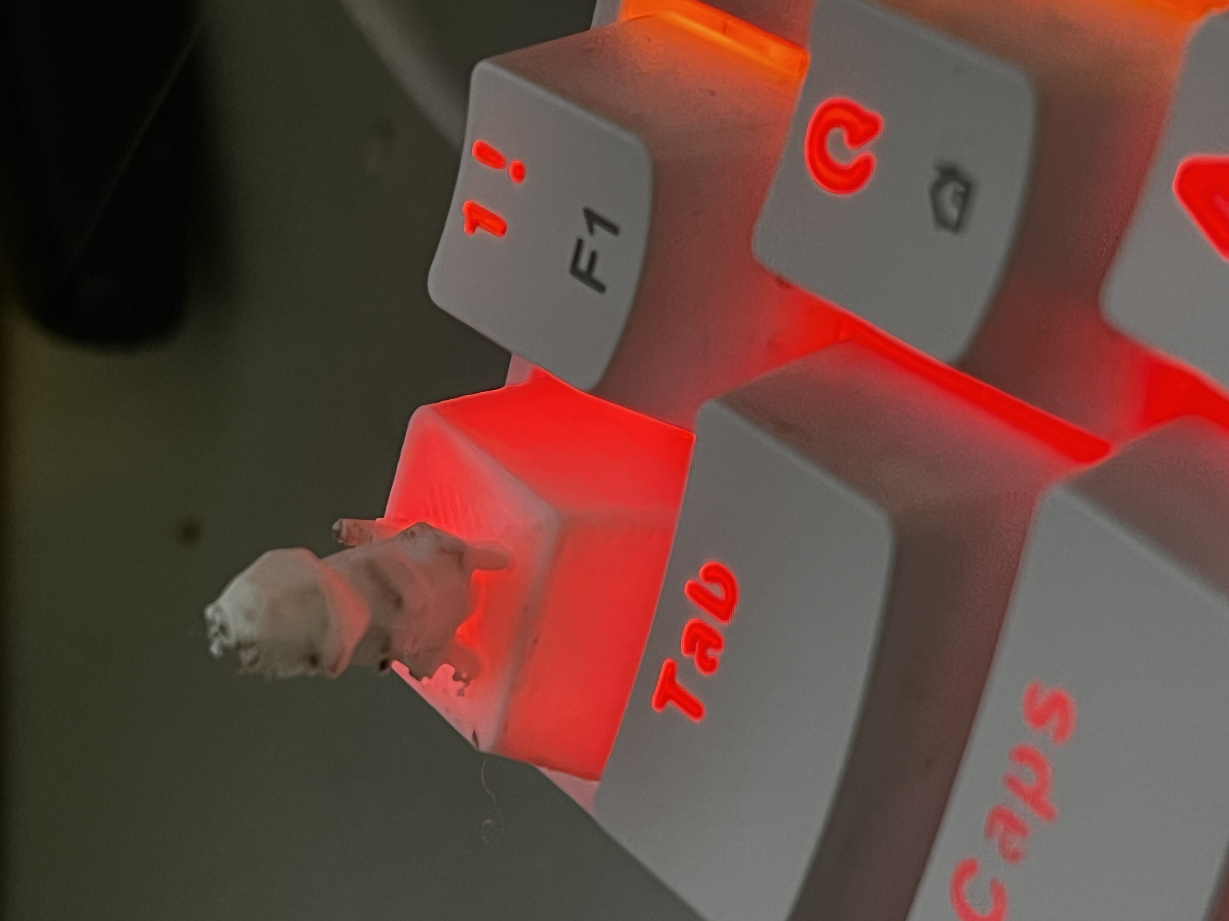 low poly charmander keycap by Jack J | Download free STL model ...