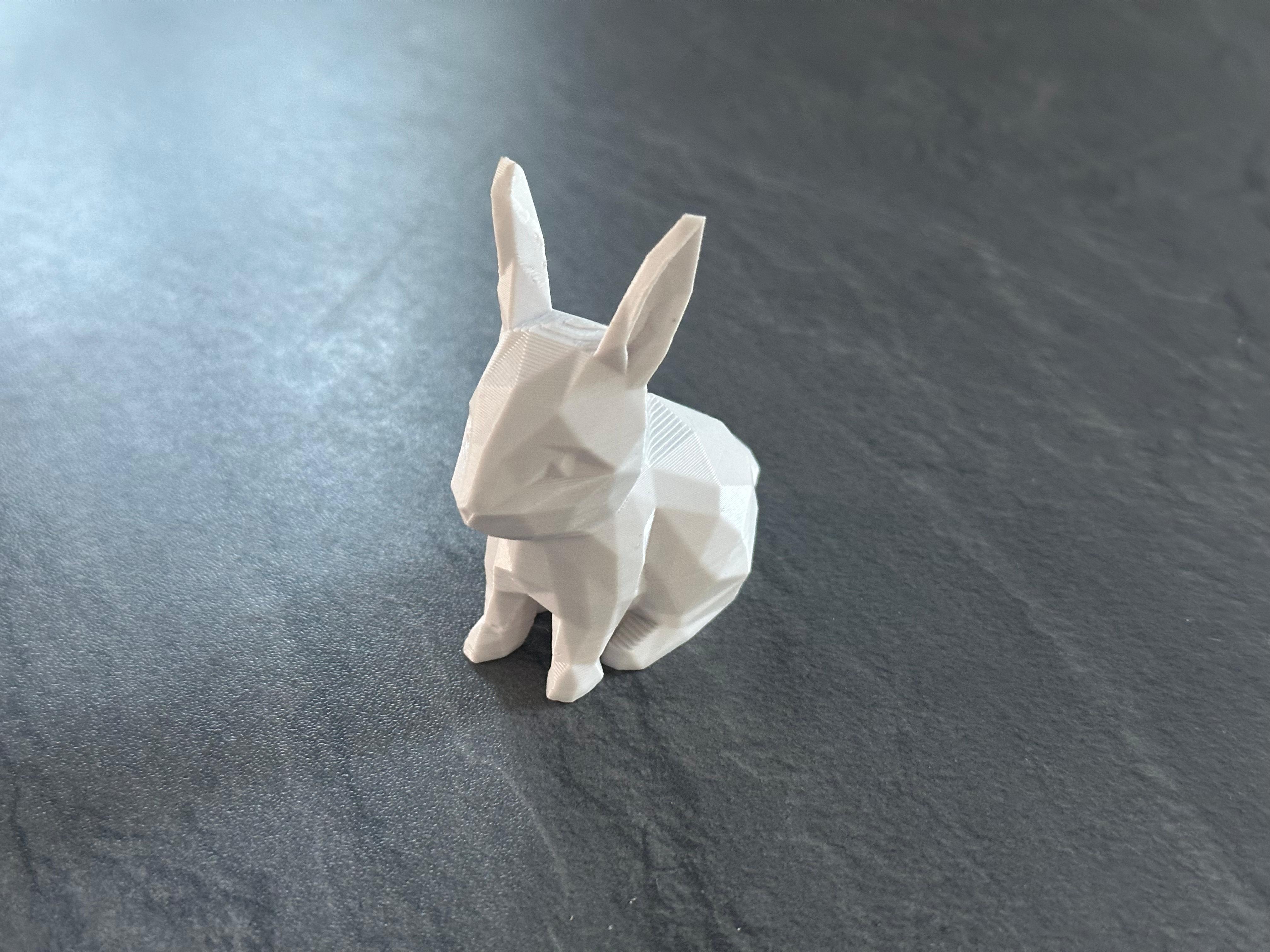 Cute Low Poly Bunny by Matthias L | Download free STL model ...