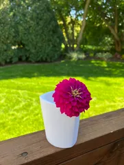 Small Vase by max-102 | Download free STL model | Printables.com