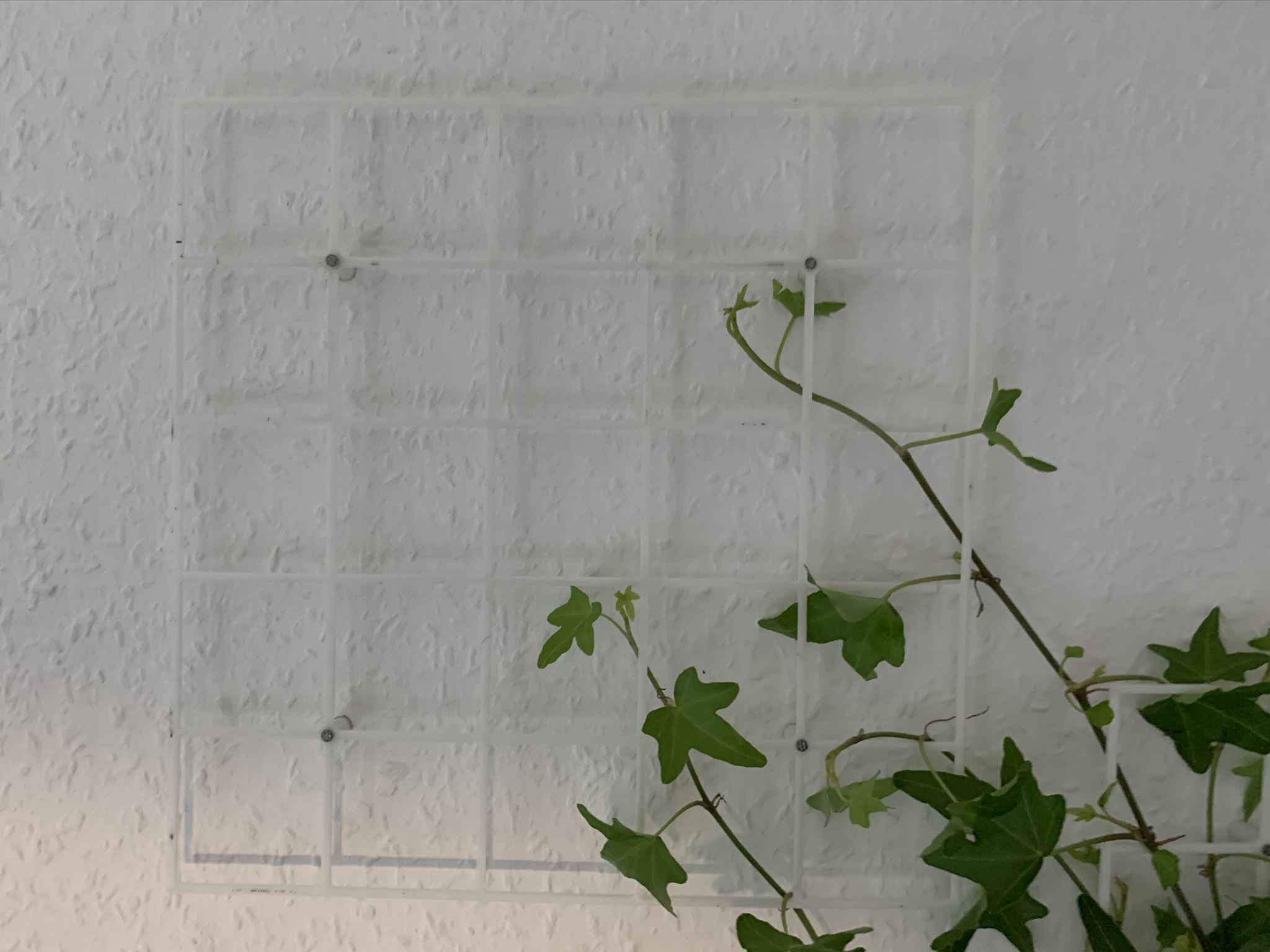 Plant grid for walls by Lions_Art_World | Download free STL model ...