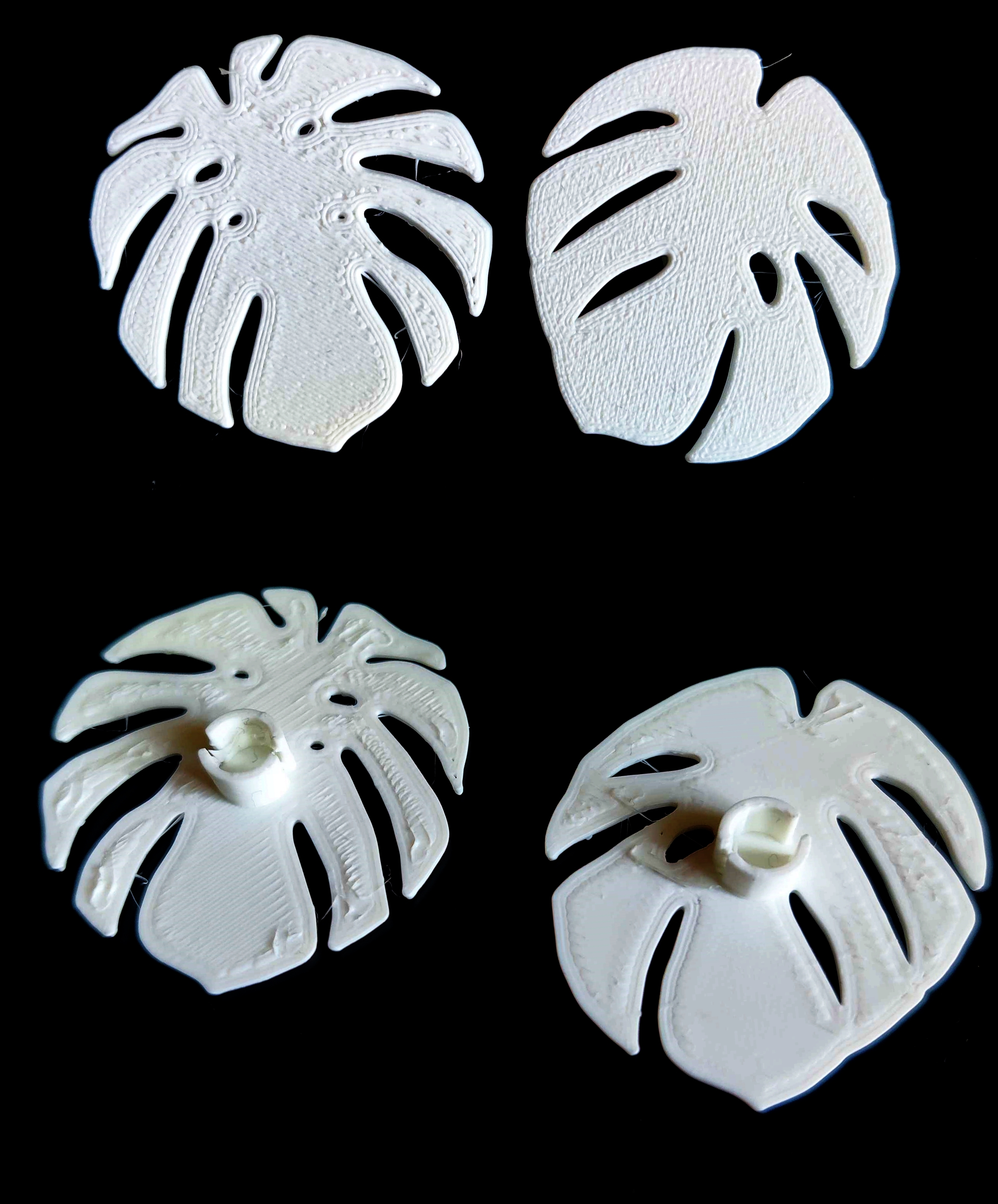 Monstera Leaf Sprite Extruder Visualizer/Rotation Indicator by Jane V ...