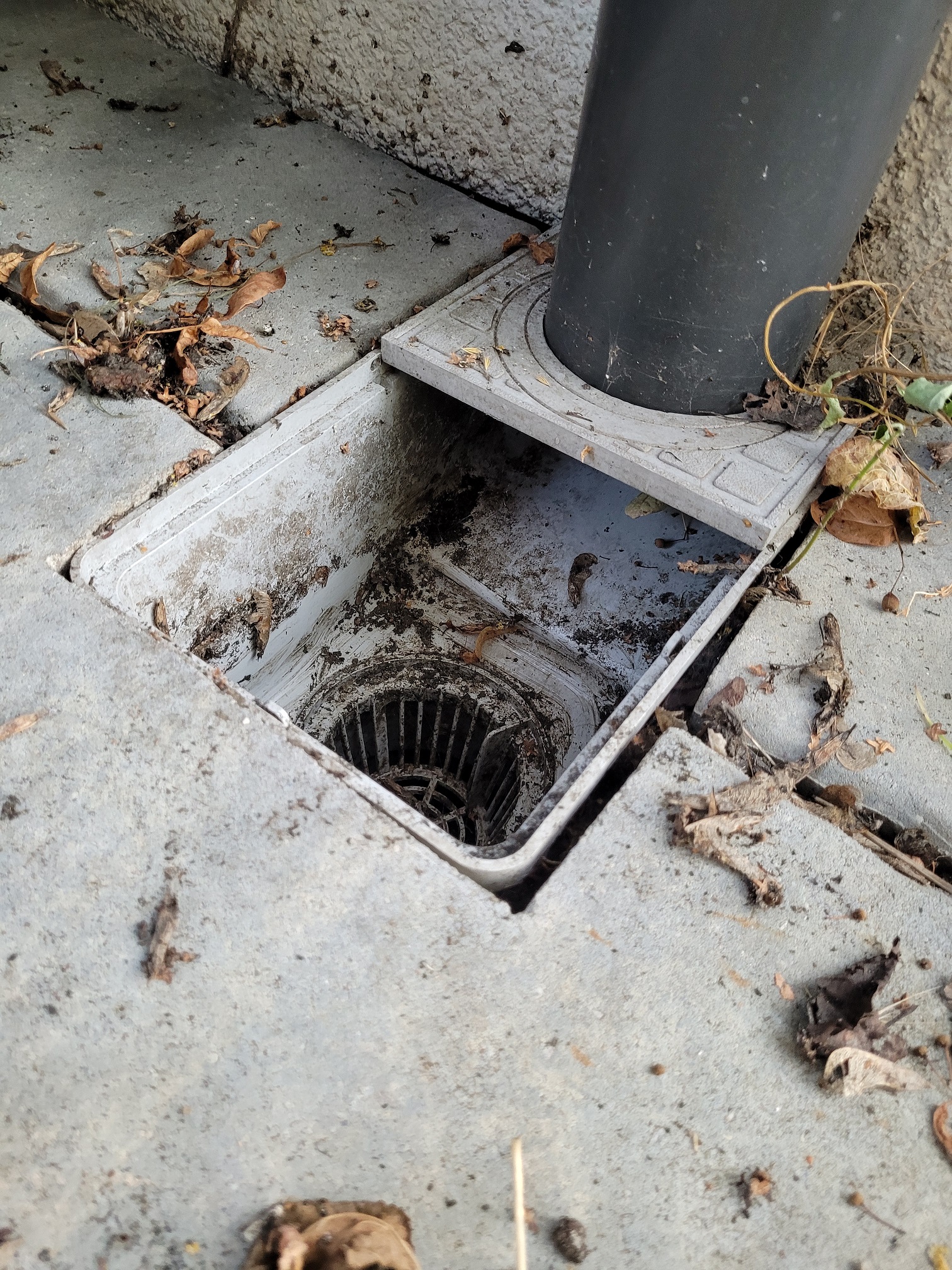 MARLEY system gutter drain flap by Marsell Walis | Download free STL ...