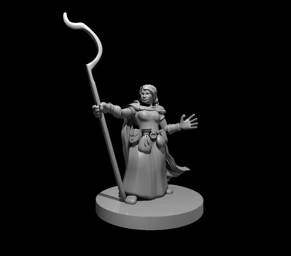 Druid Collection by MZ4250 | Download free STL model | Printables.com