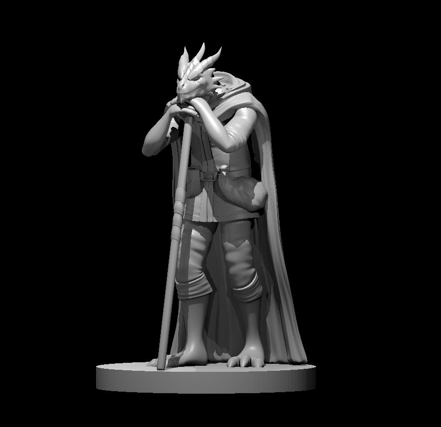 Druid Collection by MZ4250 | Download free STL model | Printables.com