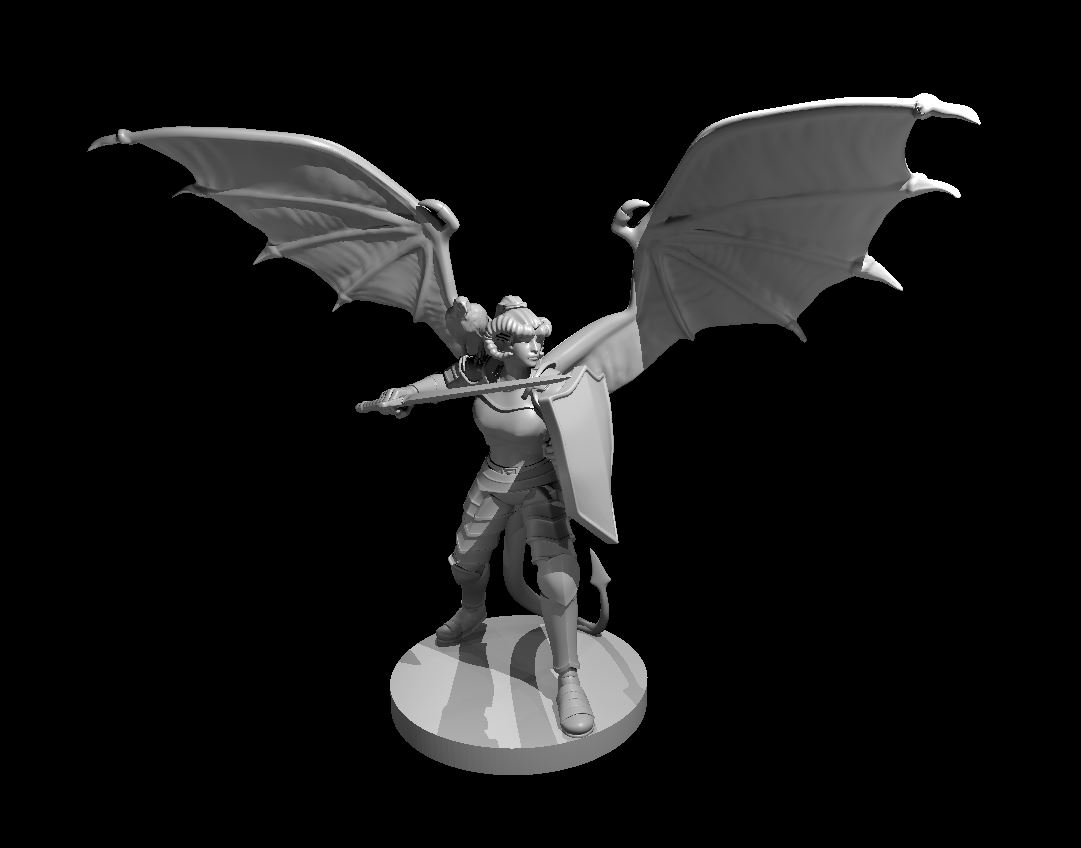 Paladin Collection by MZ4250 | Download free STL model | Printables.com